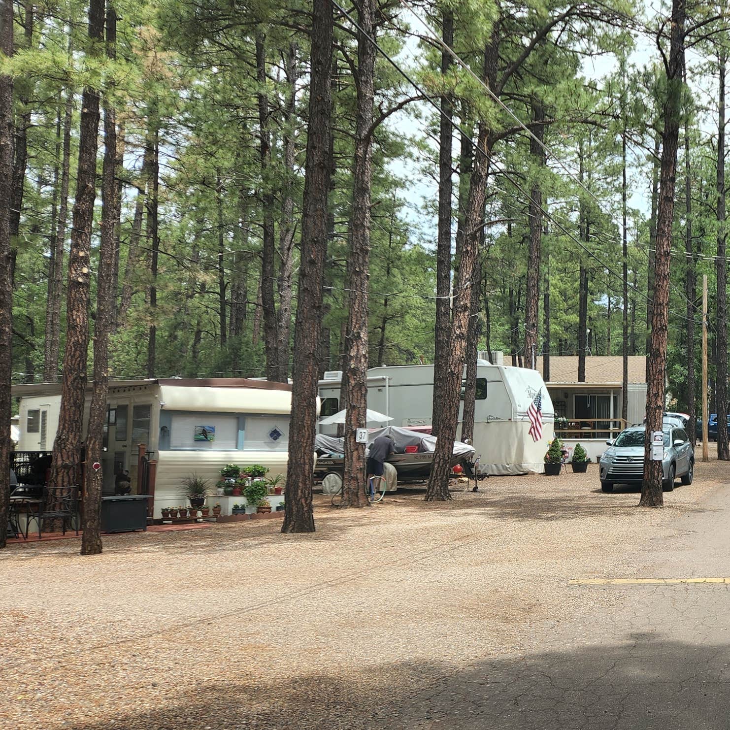 Ponderosa RV Resort | Pinetop-Lakeside, Arizona