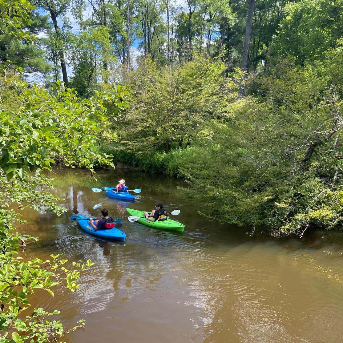 Chapman State Park Campground | Clarendon, PA