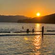 Cresap Bay Campground Camping | The Dyrt