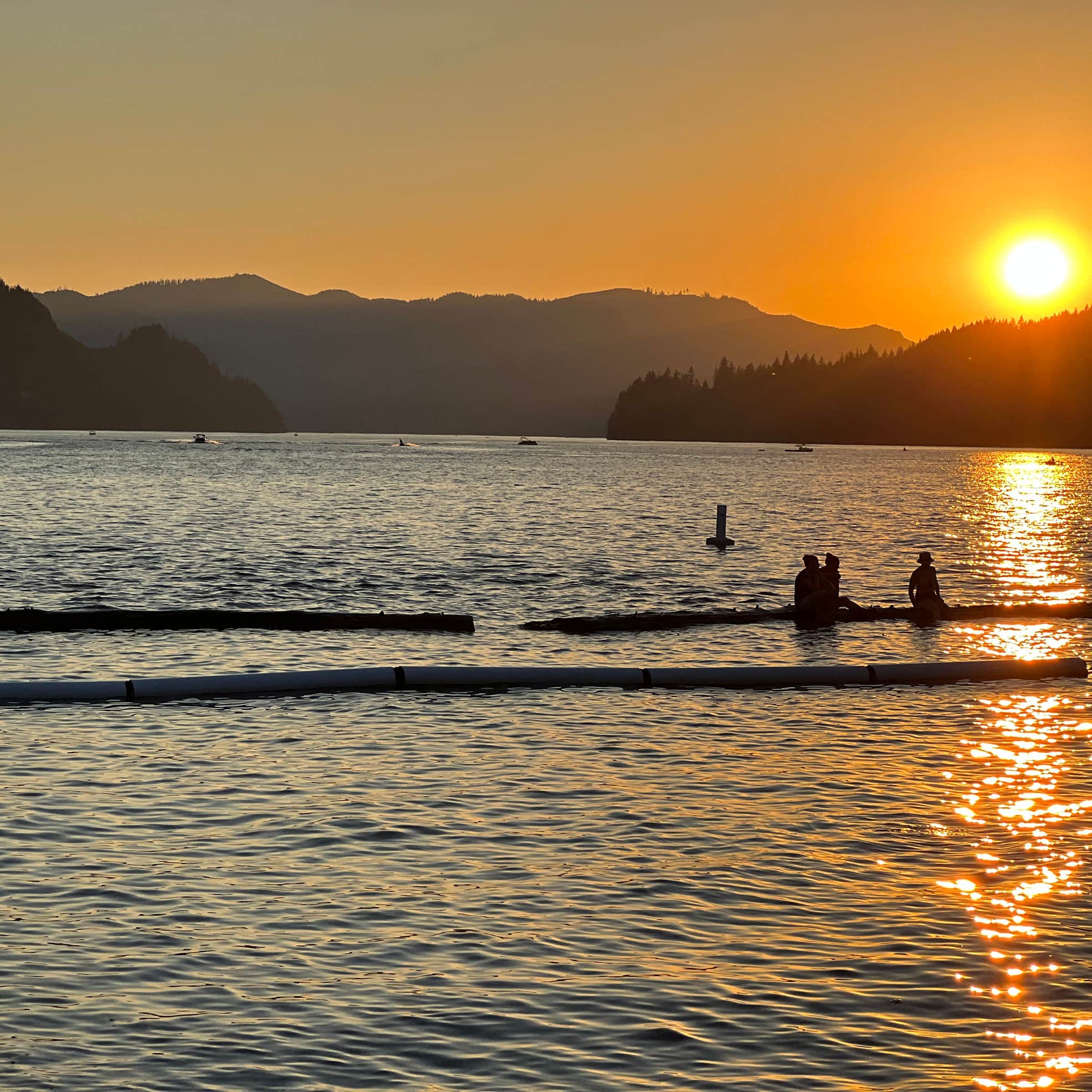 Cresap Bay Campground | Yale, WA