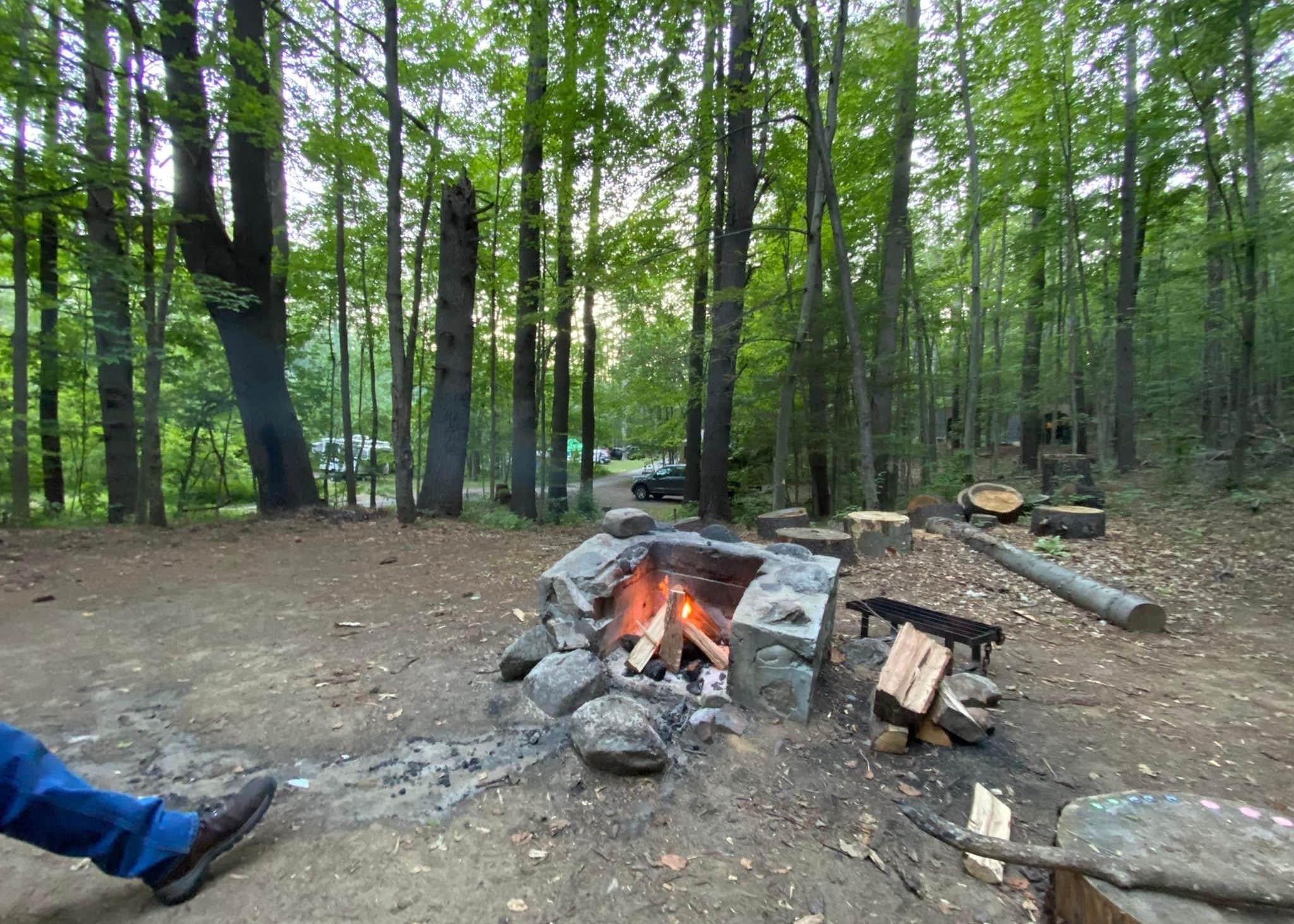 Rogers Rock Campground Camping | The Dyrt