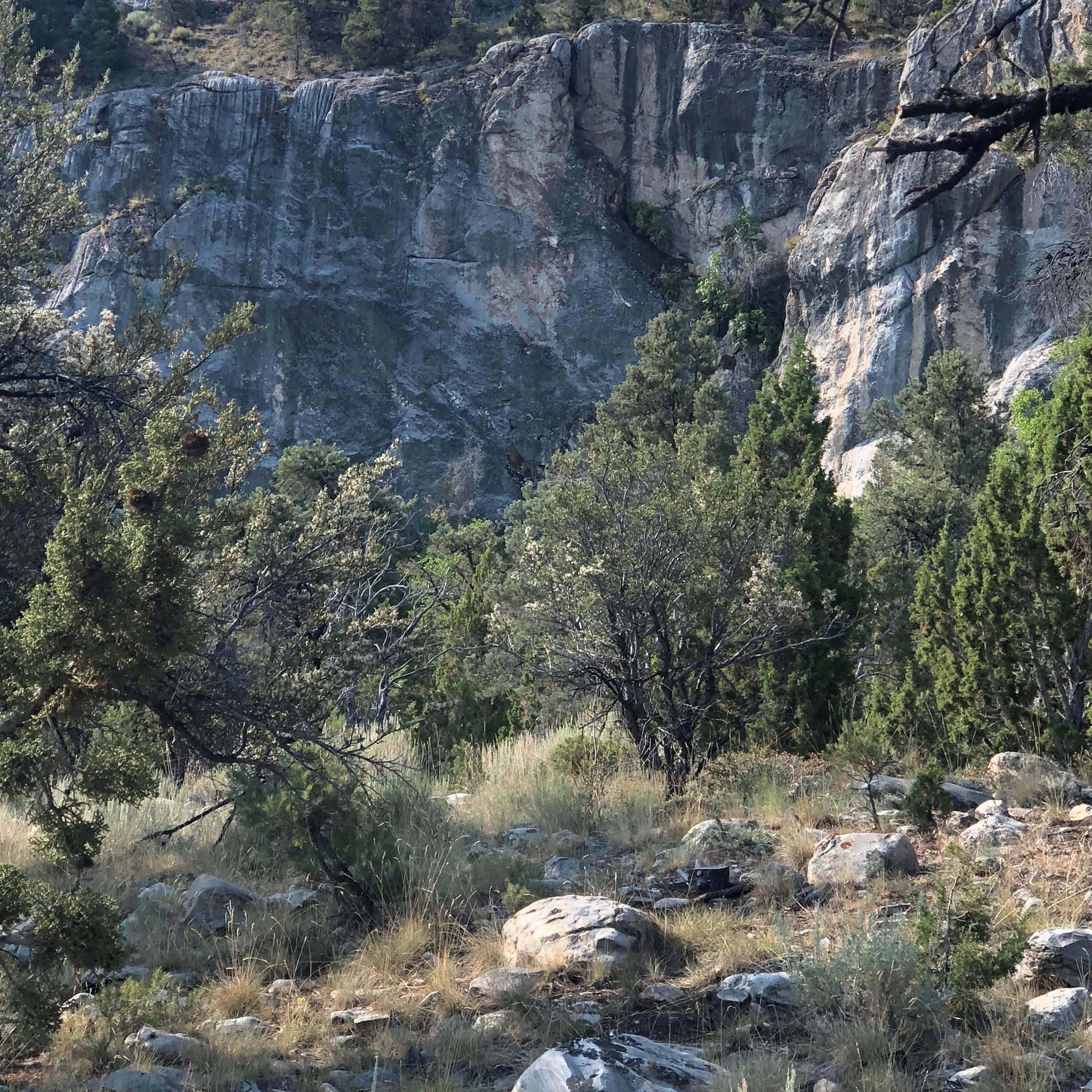Grey Cliffs Campground Camping | The Dyrt