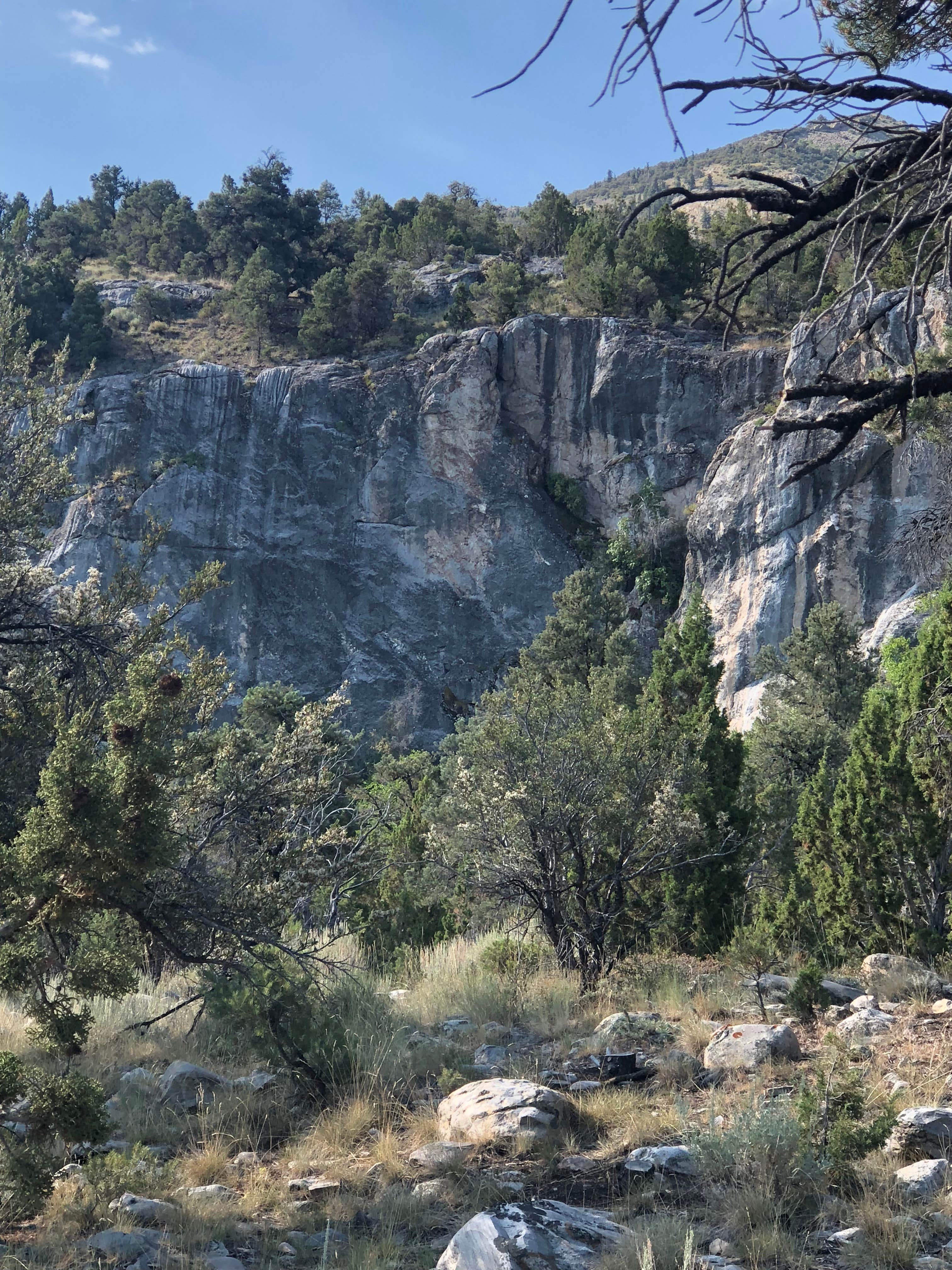 Grey Cliffs Campground — Great Basin National Park | Baker, NV