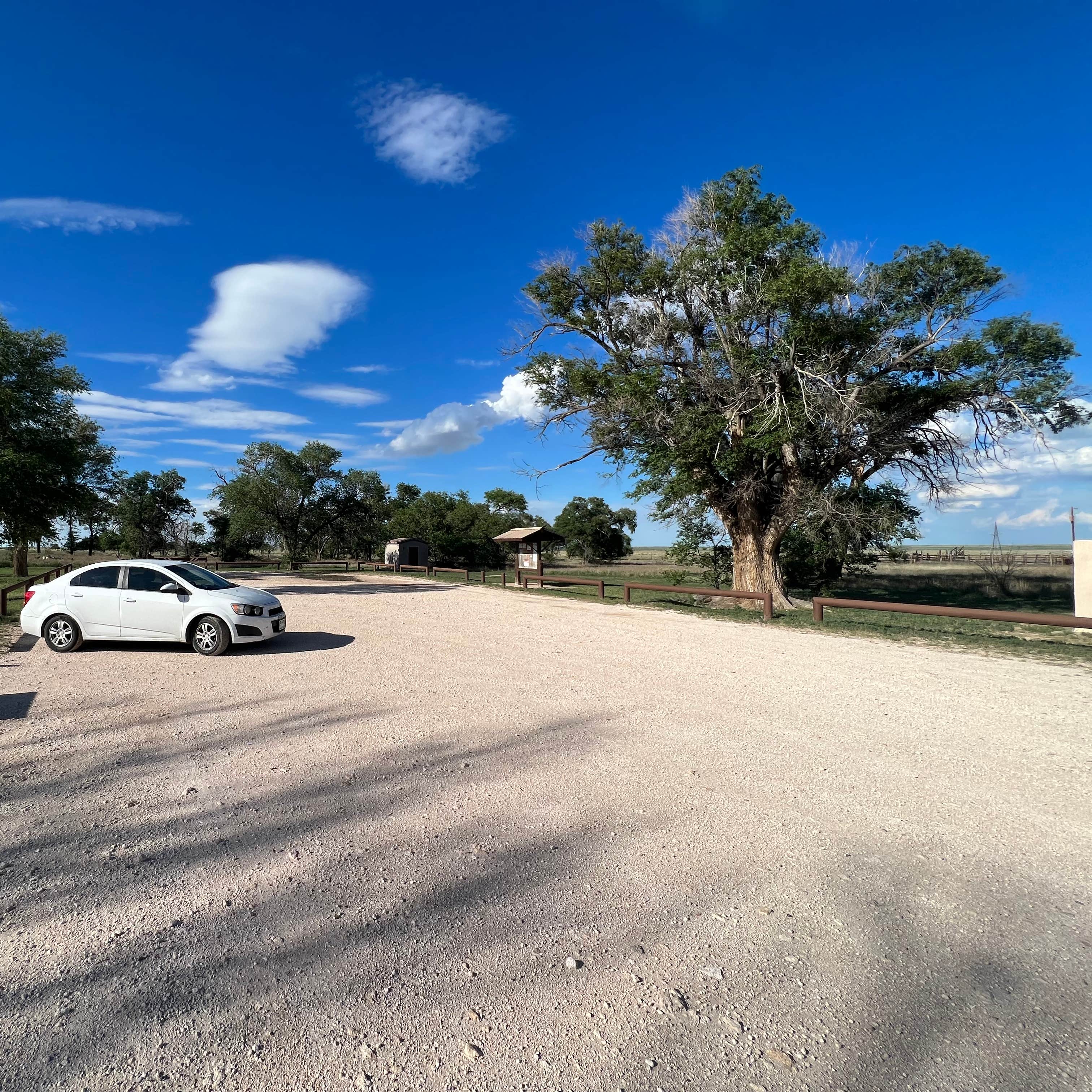 Thompson Grove Boondocking Camping | The Dyrt