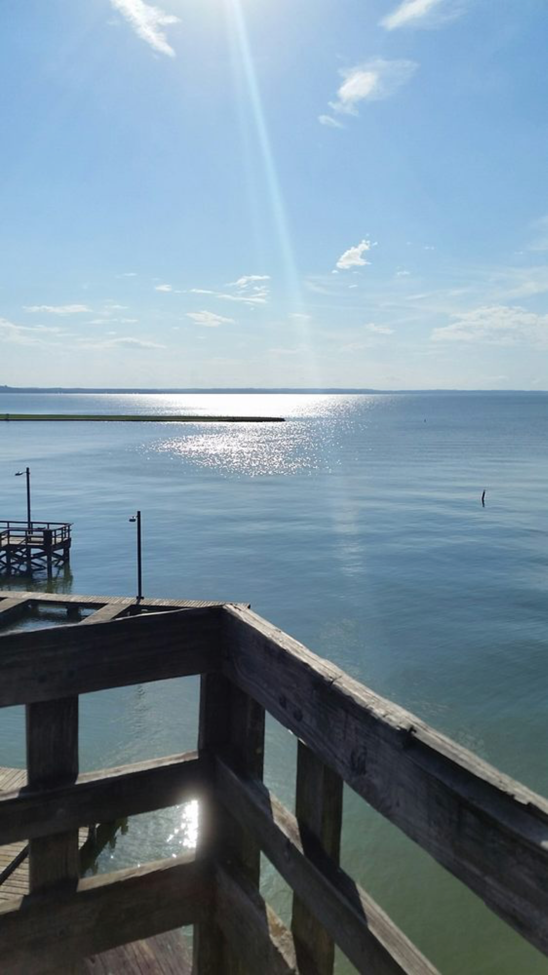Lake Livingston State Park Campground | Livingston, Texas