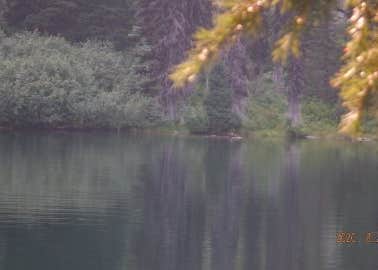 Rocky Ridge Lake Campground Camping | The Dyrt