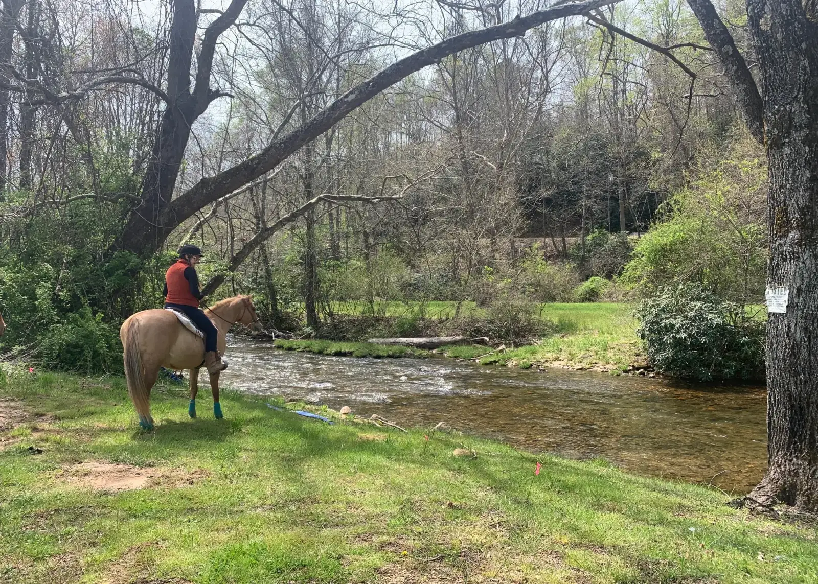 Riverside Camping On The Farm Camping | The Dyrt