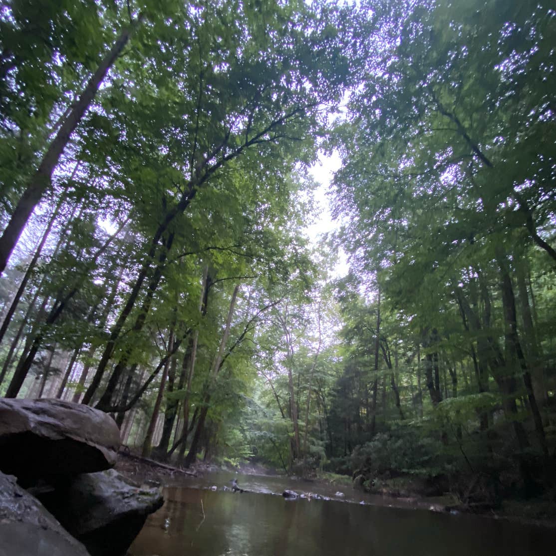 Holly River State Park Campground | Hacker Valley, West Virginia