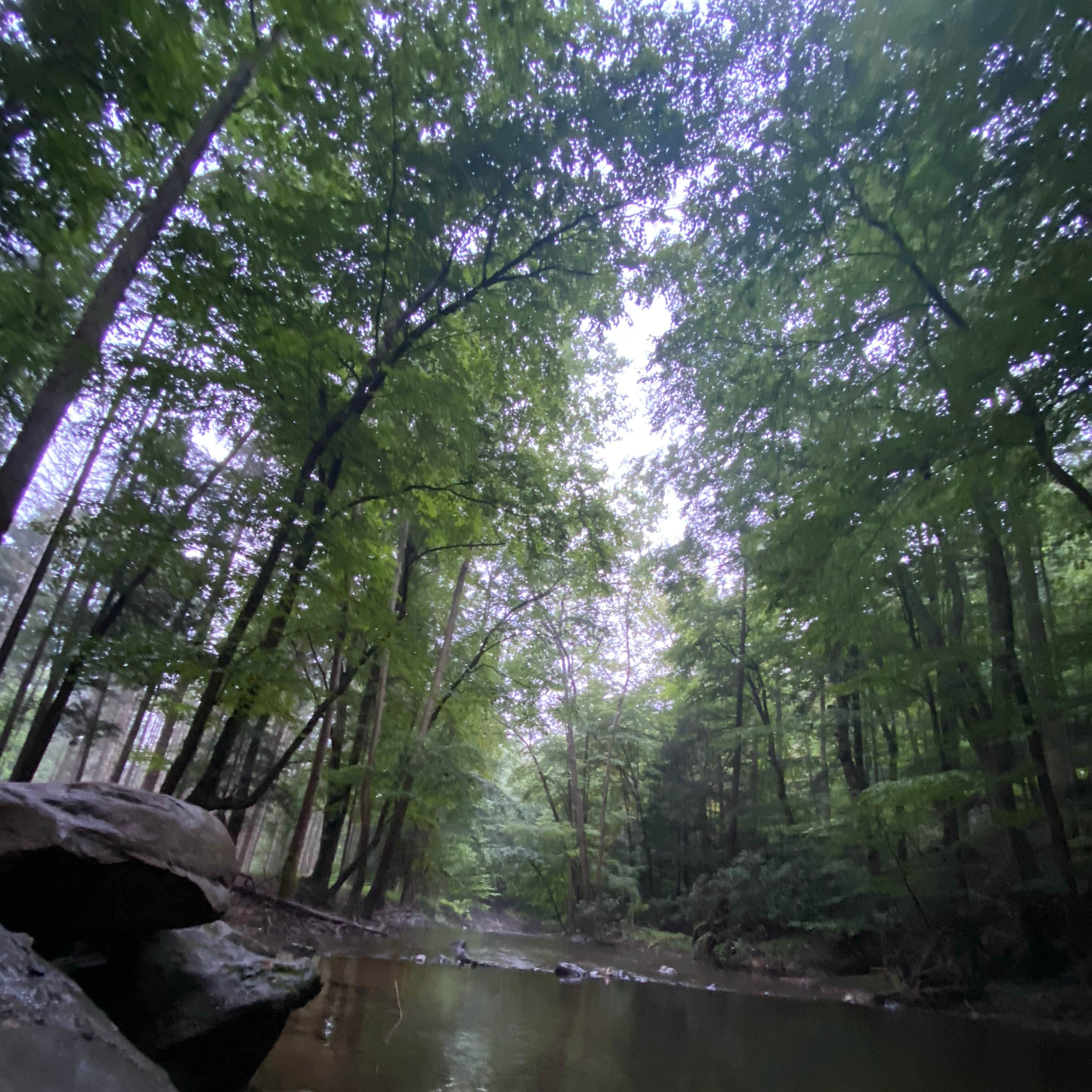 Holly River State Park Campground | Hacker Valley, West Virginia