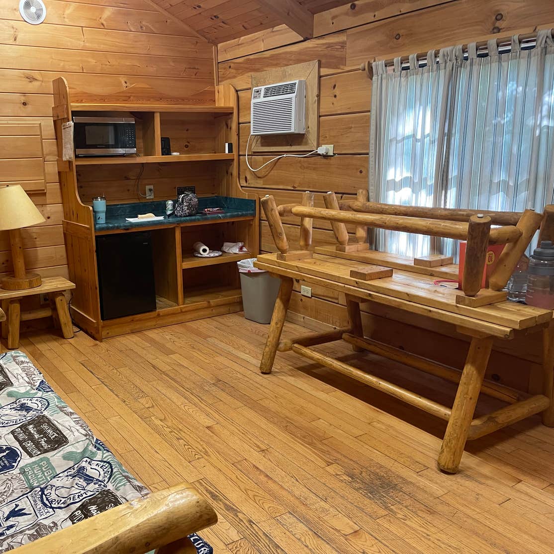 Puma — Mark Twain State Park Camping | Stoutsville, MO