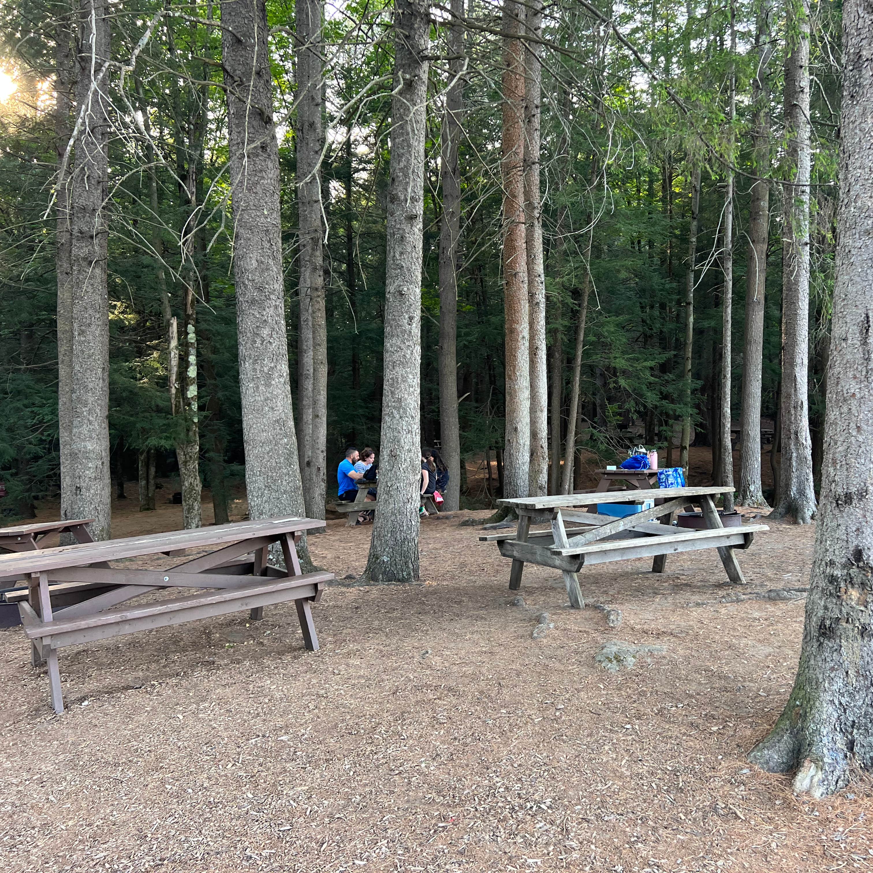 Daughters of the American Revolution (DAR) State Forest Campground ...