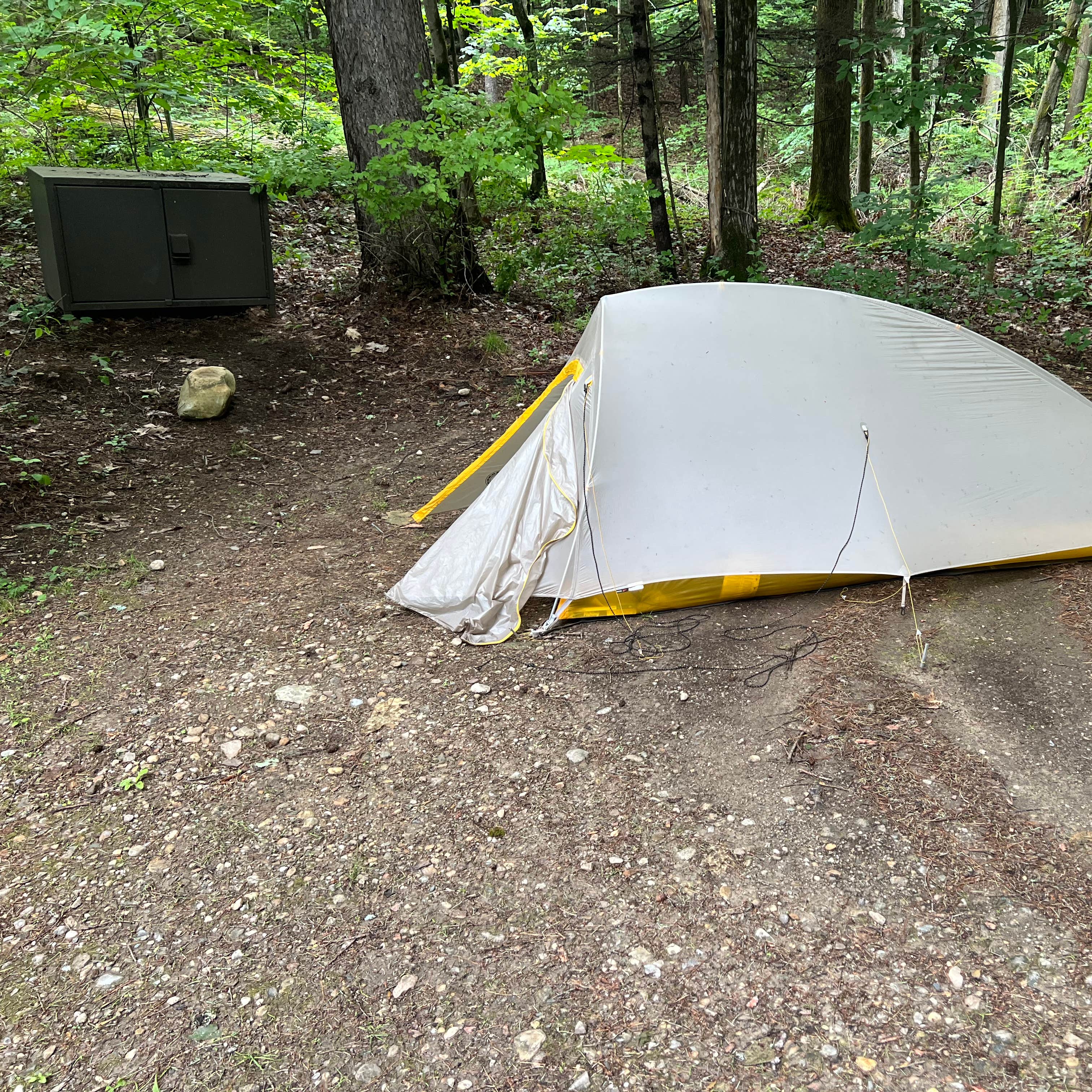 October Mountain State Forest Camping | Lee, MA