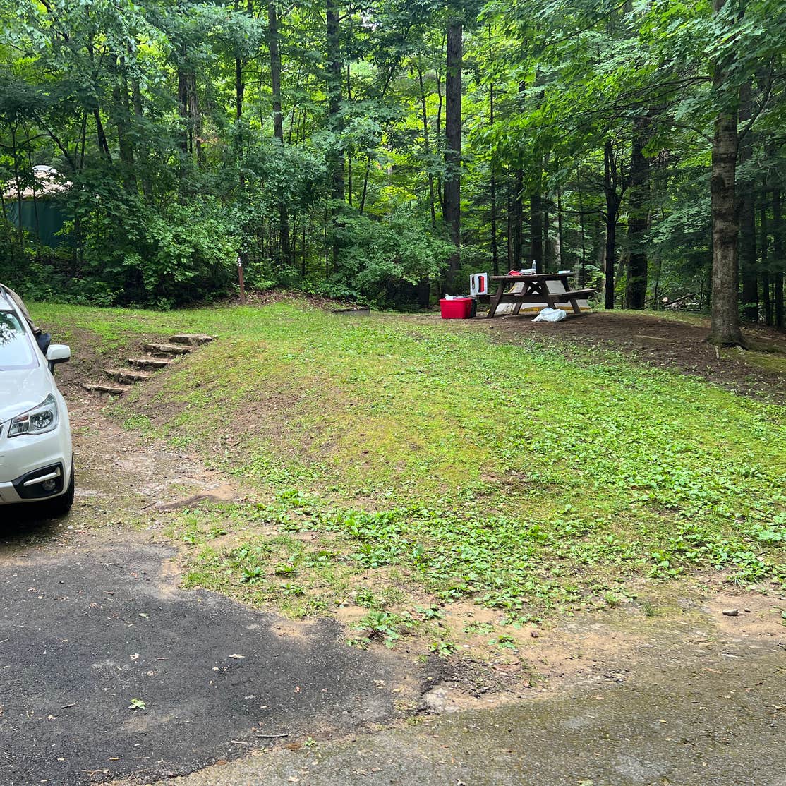 October Mountain State Forest Camping | Lee, MA