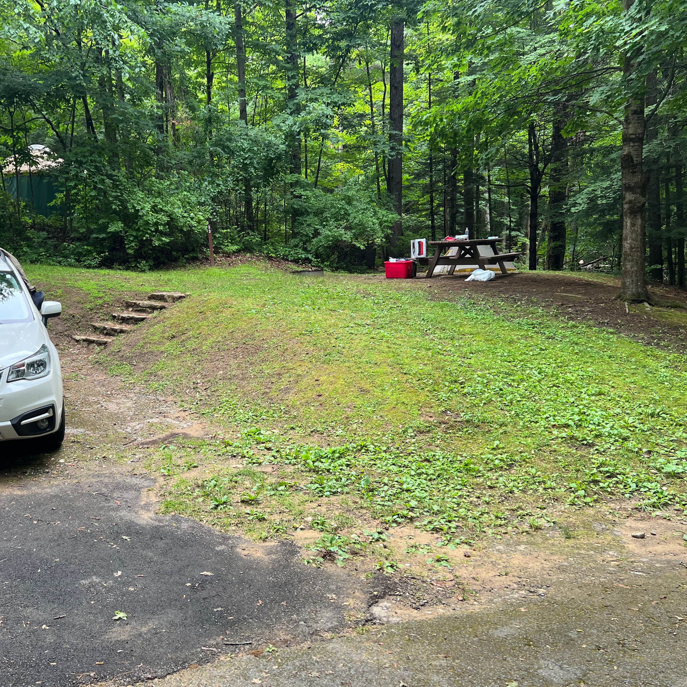 October Mountain State Forest Campground | Lenox Dale, Massachusetts