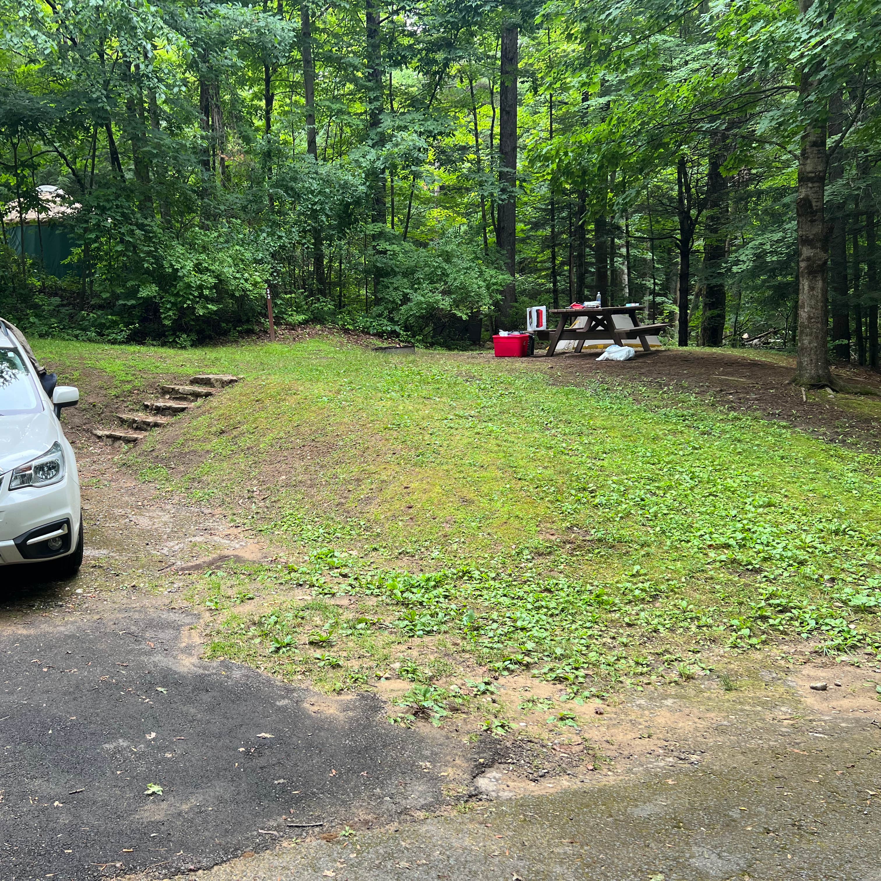October Mountain State Forest Campground | Lenox Dale, Massachusetts