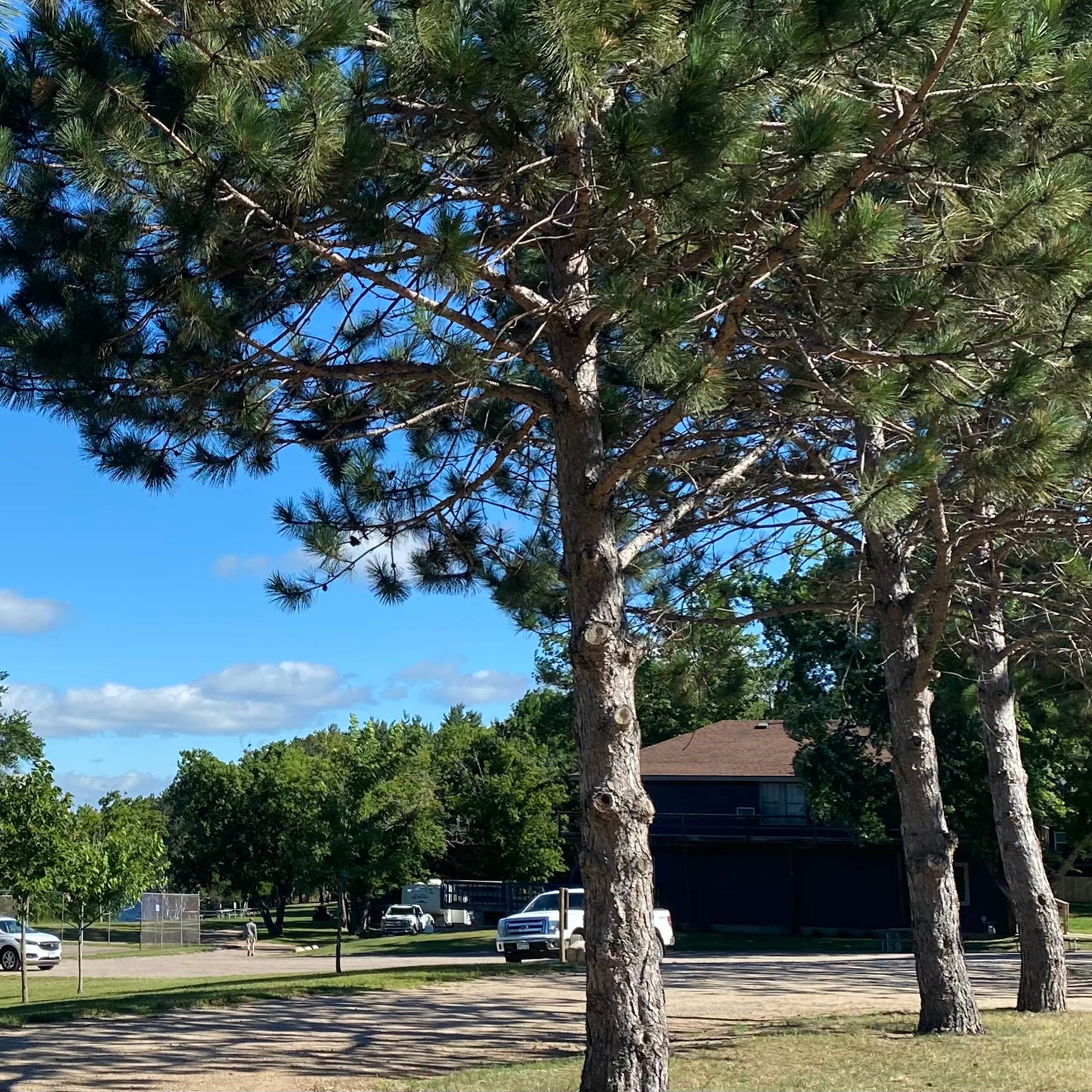 Birch Bay RV Resort Camping | The Dyrt