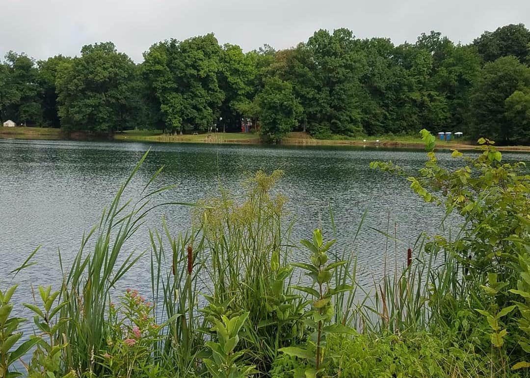 Cooper's Lake Campground Camping | The Dyrt