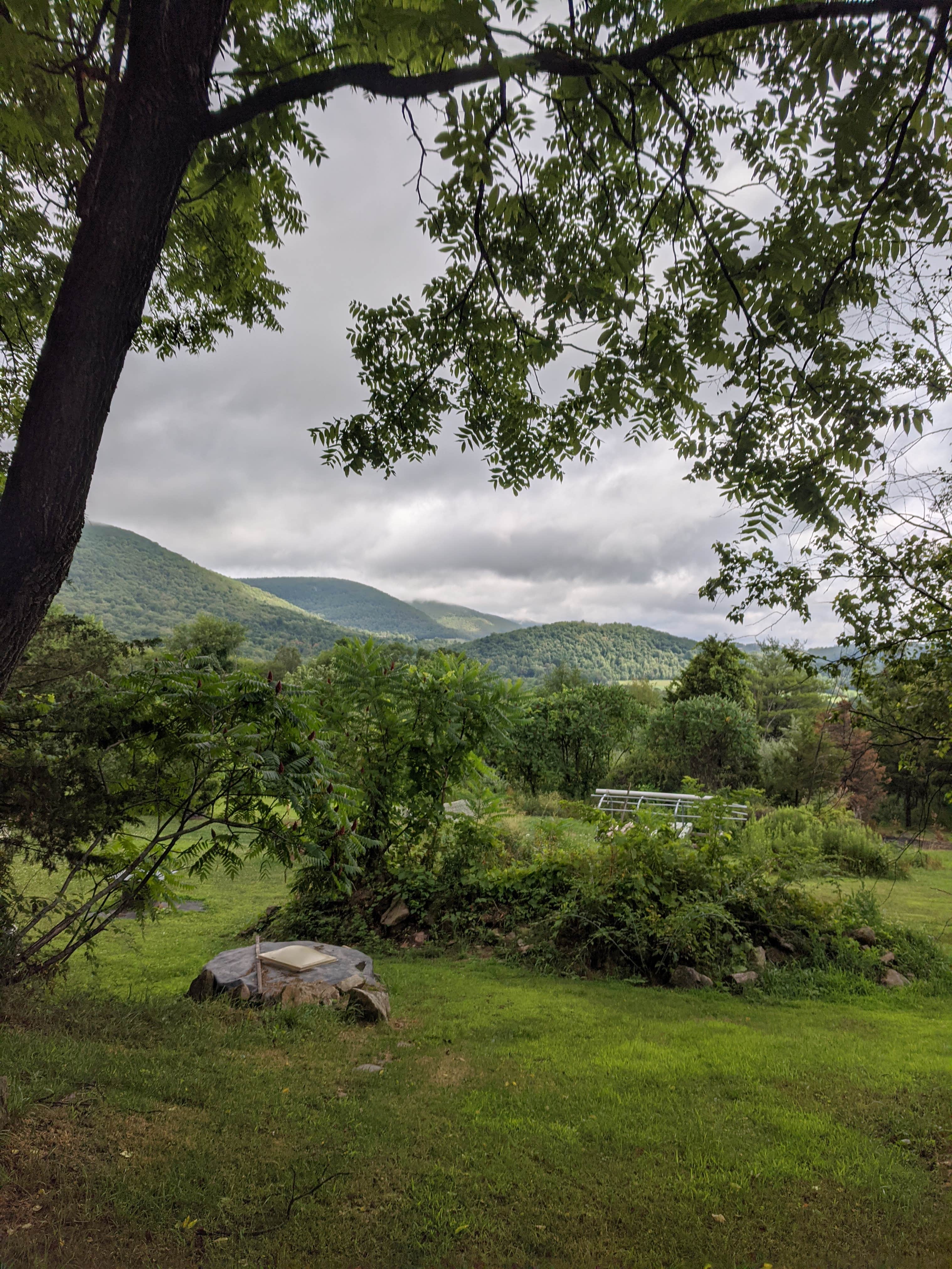 Sunrise Serenity Campground | Mississippi River Headwaters - Leech Lake, PA