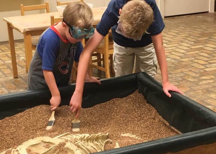 Illinois Beach State Park Camping | The Dyrt