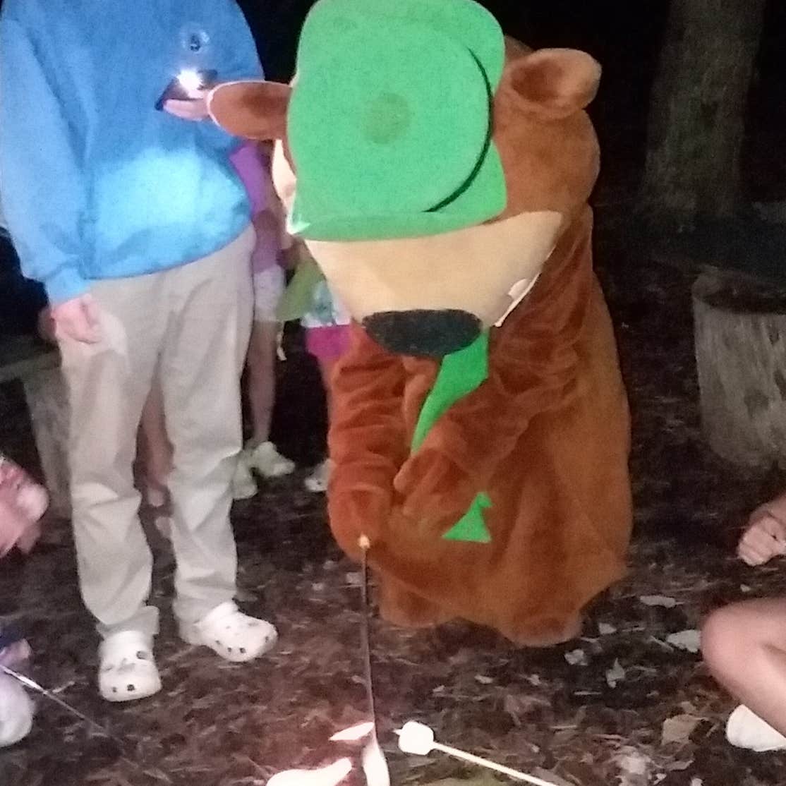 Yogi Bear's Jellystone Park Mill Run Camping | Mill Run, PA