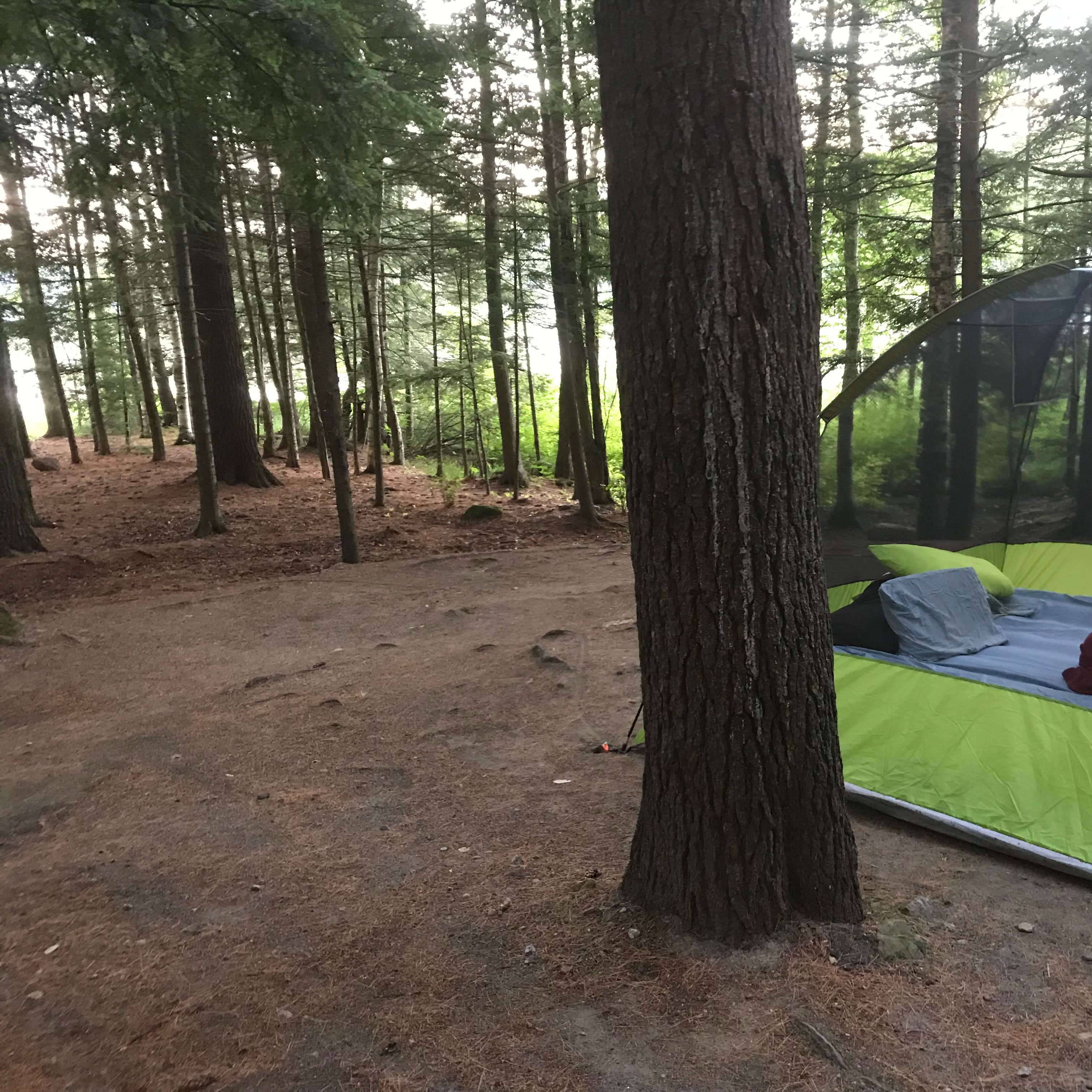 Putnam Pond Adirondack Preserve Camping | The Dyrt