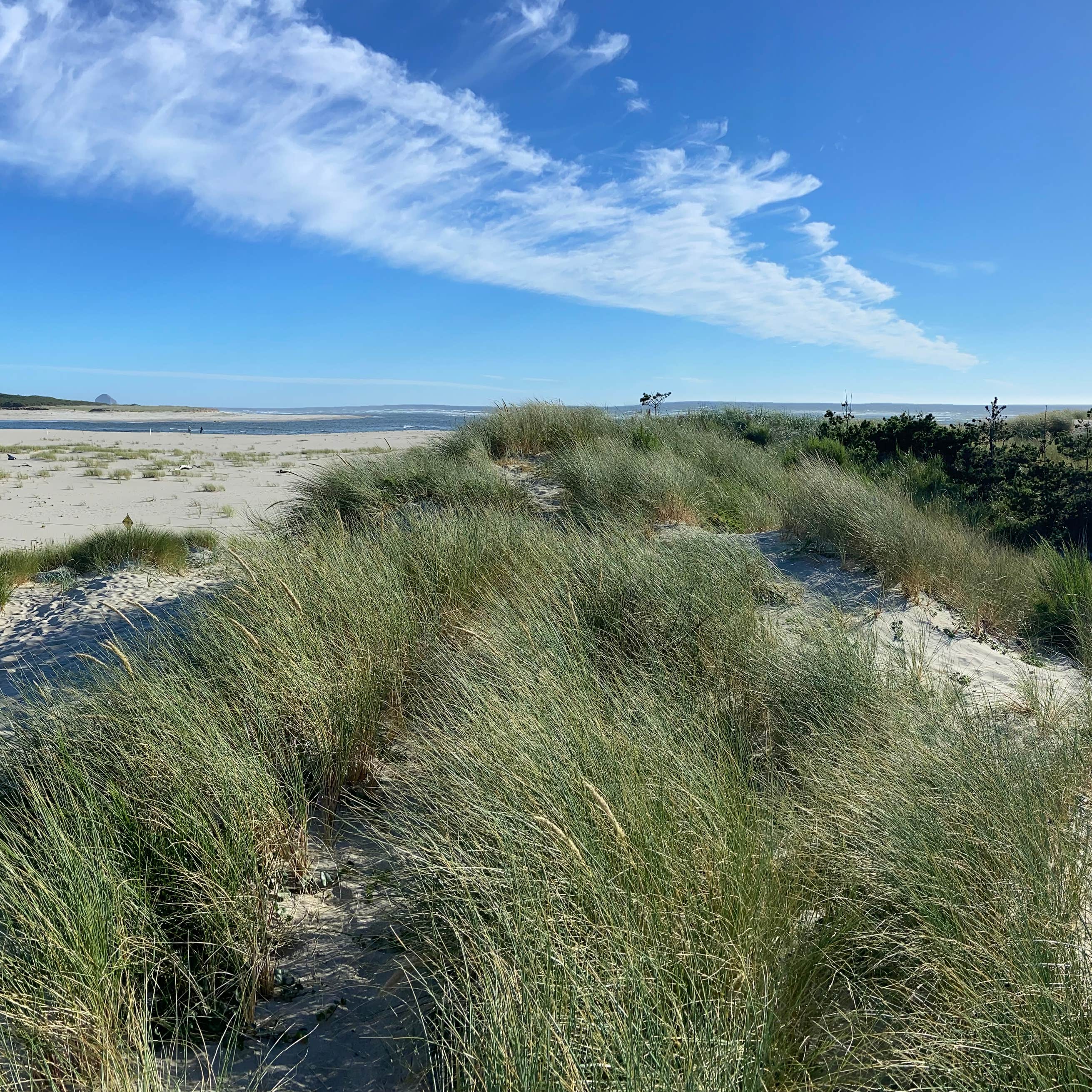 Sand Lake Recreation Area Camping | The Dyrt