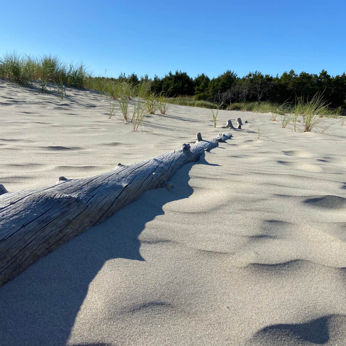 Sand Lake Recreation Area Camping | The Dyrt