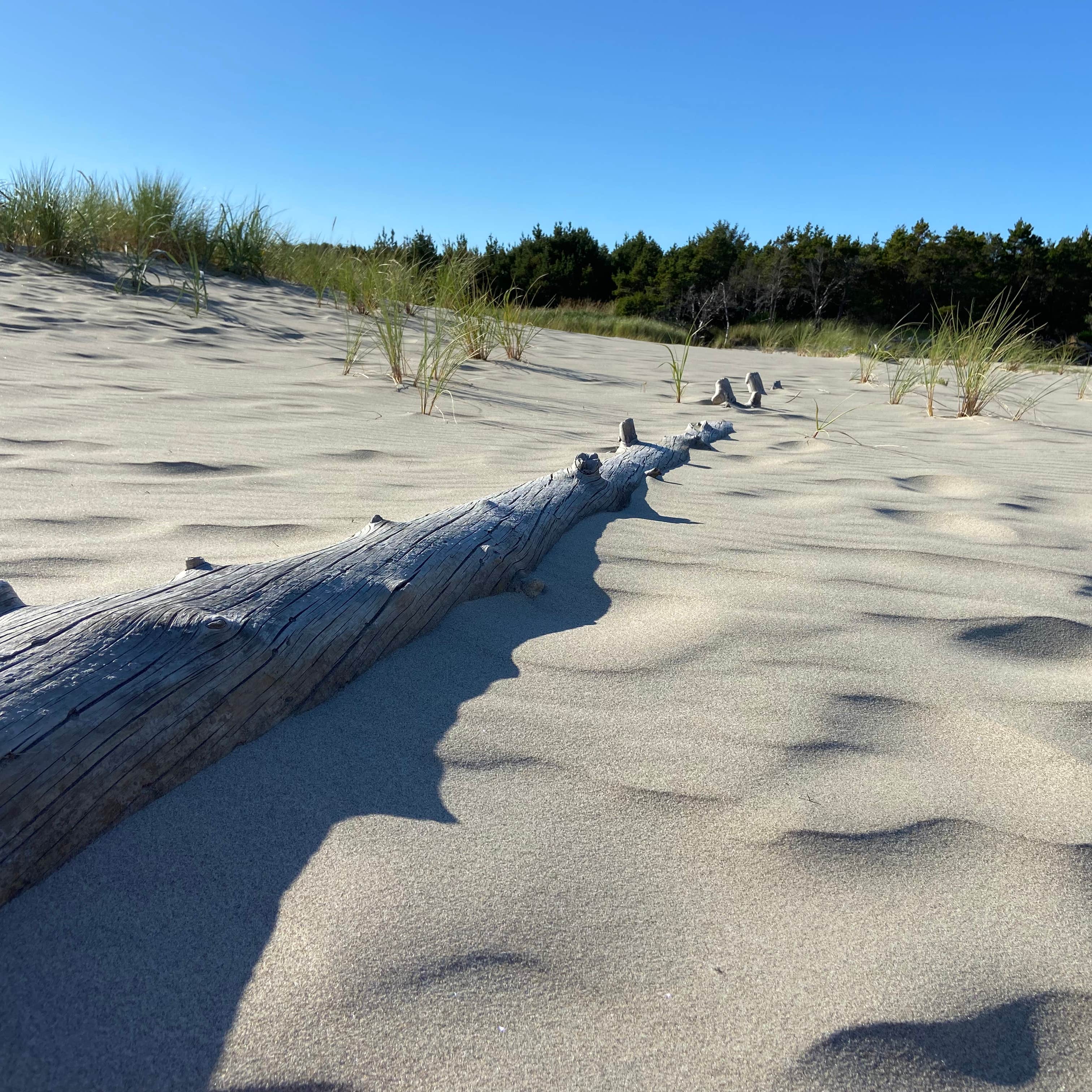 Sand Lake Recreation Area Camping | Pacific City, Oregon
