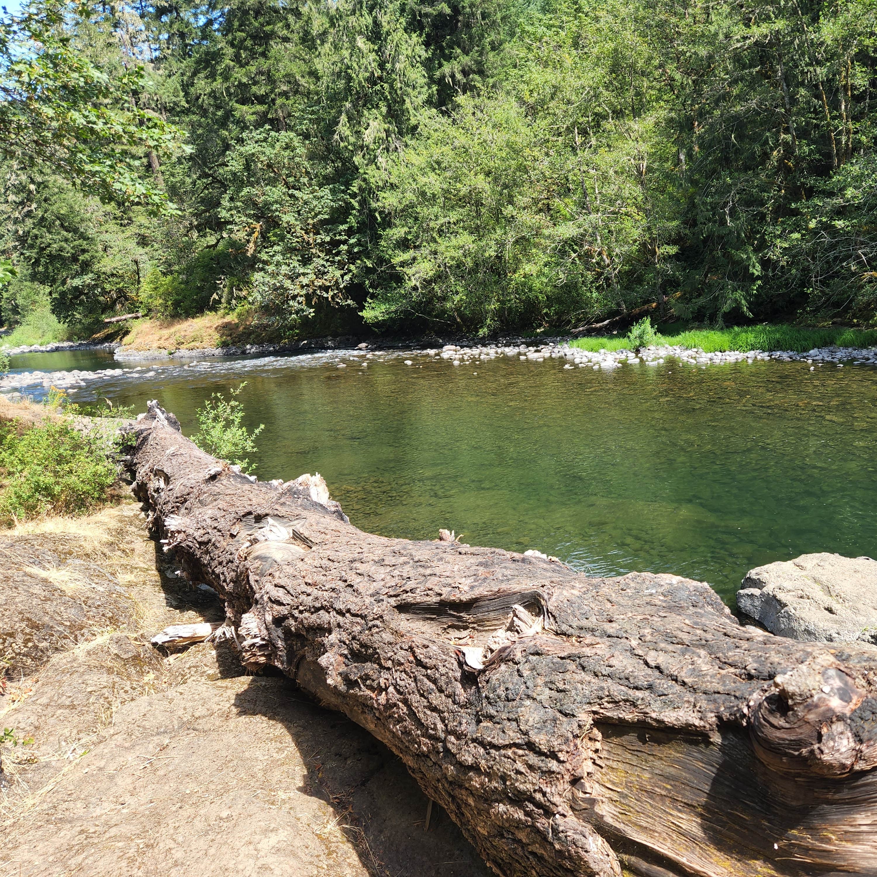 BLM Molalla River Recreation Area Camping | Molalla, Oregon