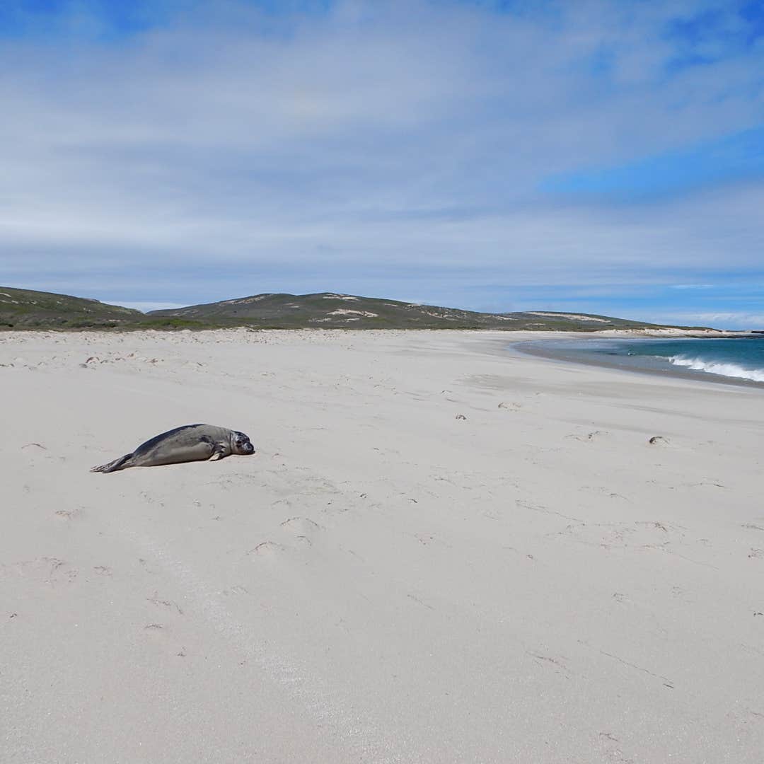 Santa Rosa Island Backcountry Beach Camping — Channel Islands National ...