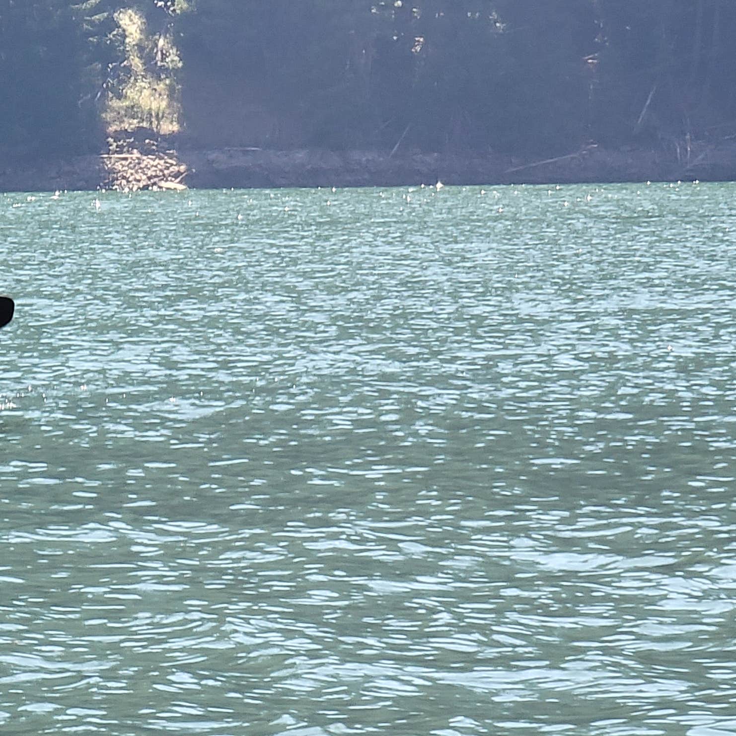 Rimrock Lake Resort Camping | Goose Prairie, Washington