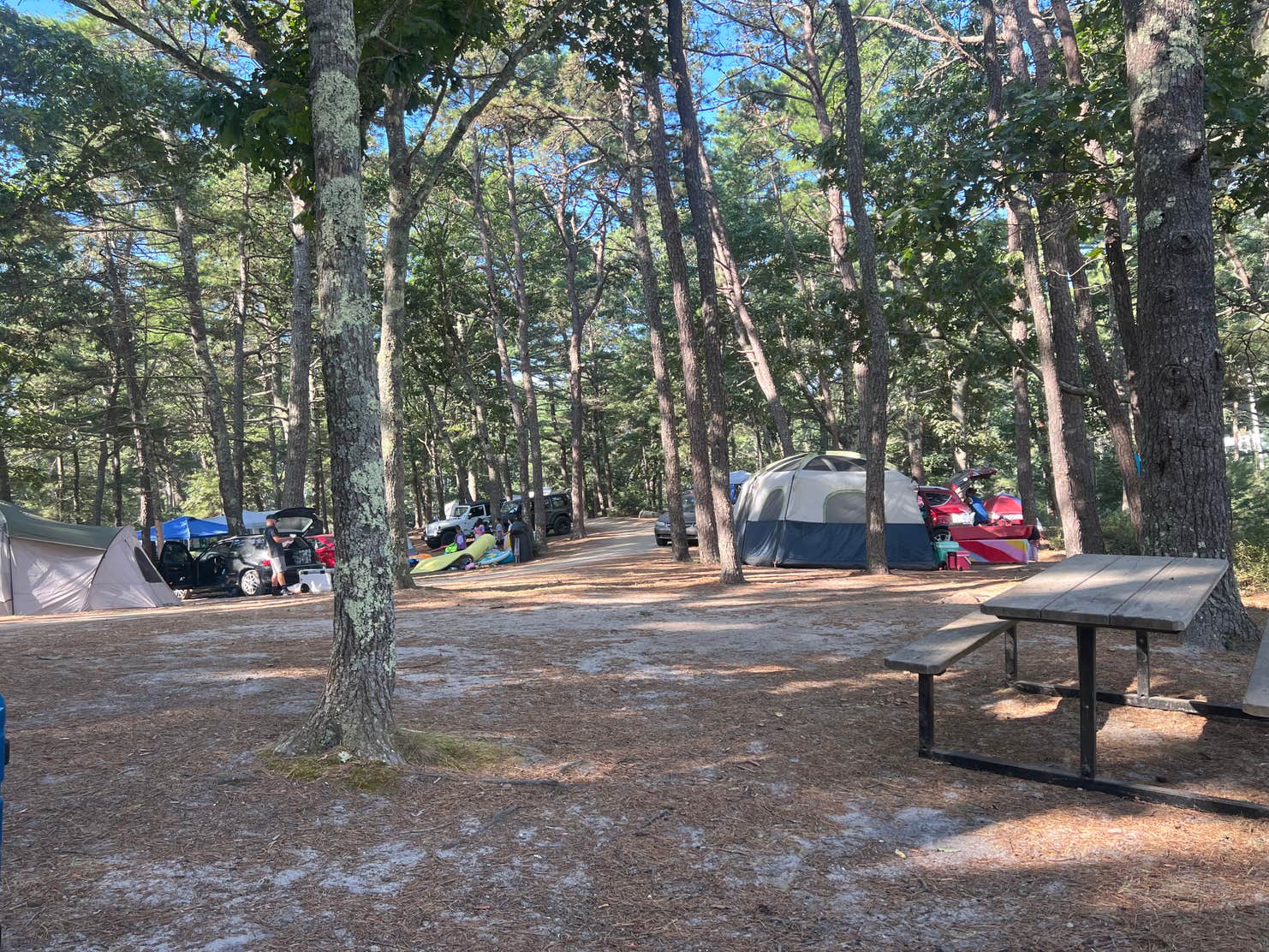Cape Cod's Maple Park Campground and RV Park Camping | The Dyrt
