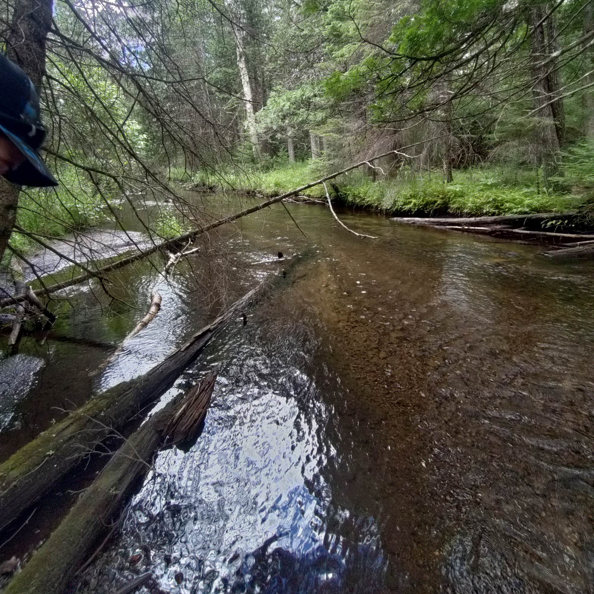 Devoe Lake Rustic Campround — Rifle River Recreation Area | Lupton ...