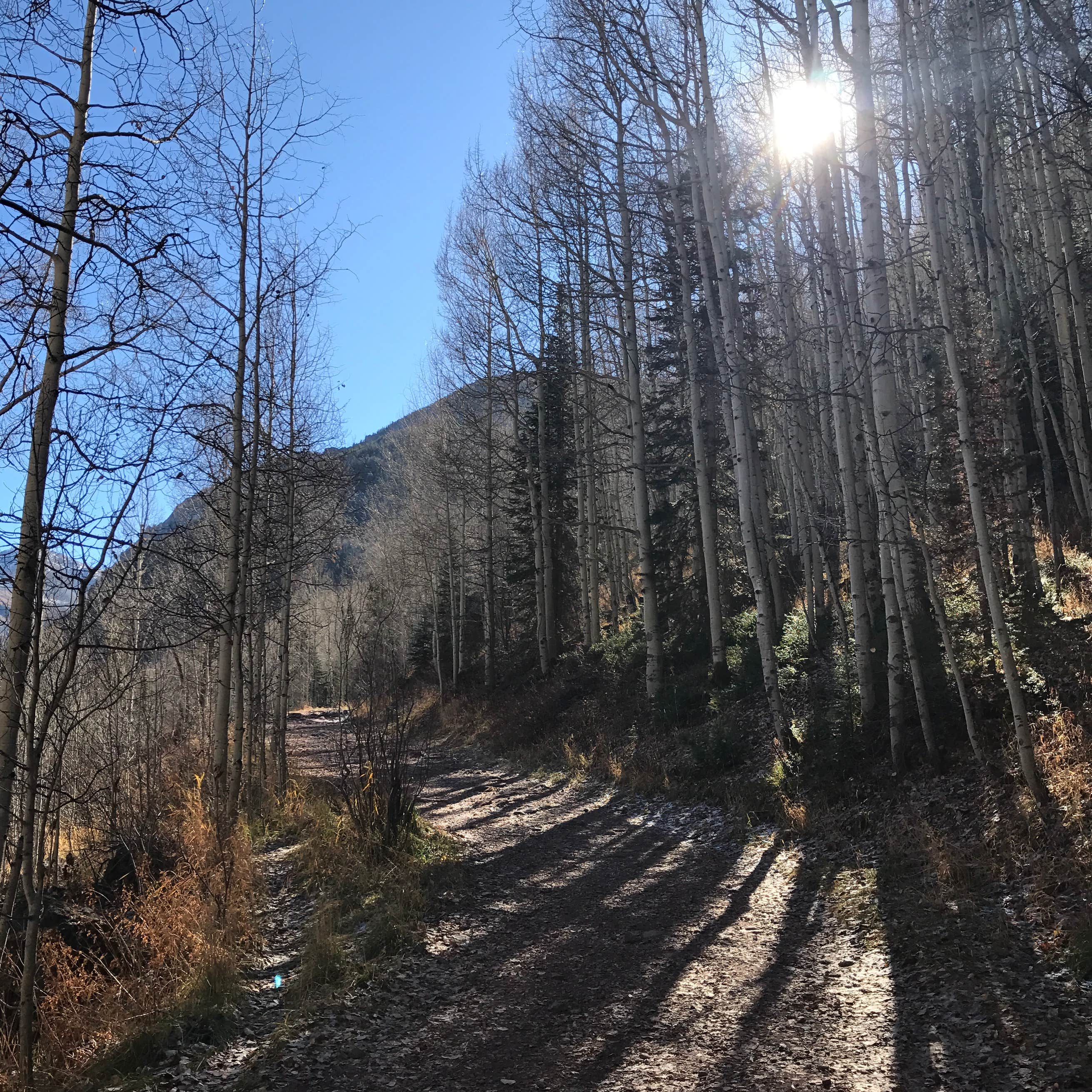 Telluride Town Park Campground Camping | The Dyrt
