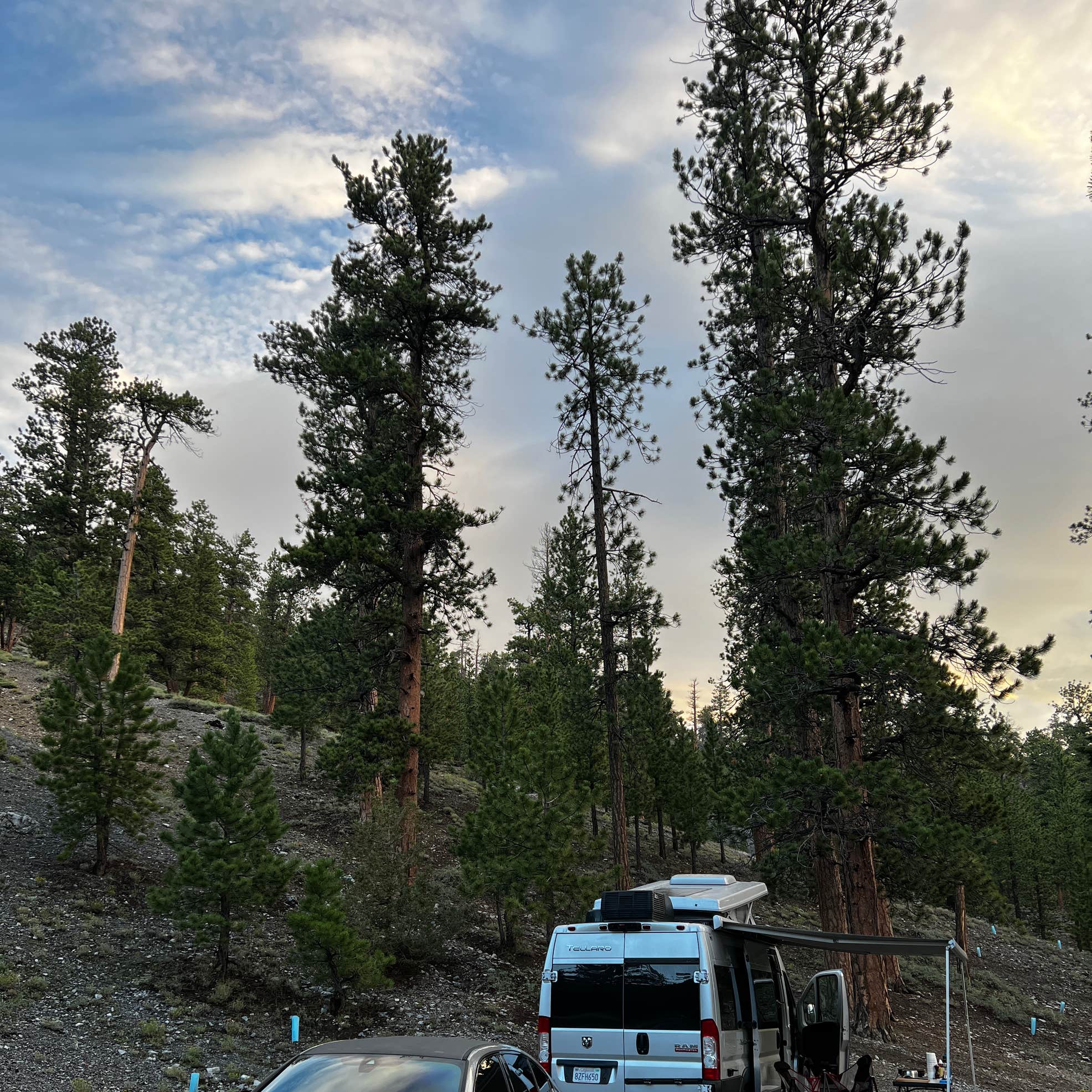 McWilliams Campground | Mount Charleston, Nevada