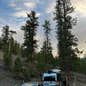 McWilliams Campground | Mount Charleston, Nevada