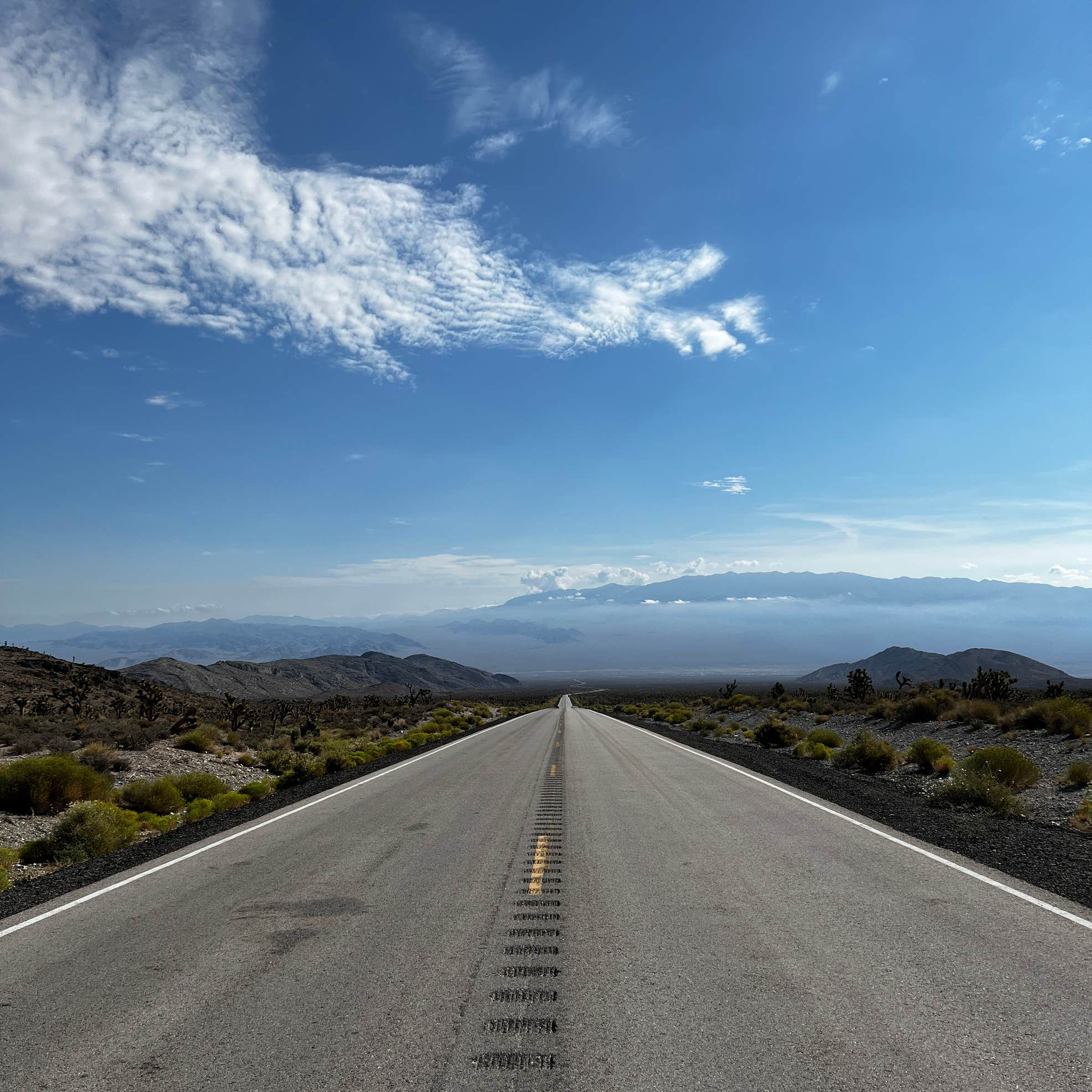 McWilliams Campground | Mount Charleston, Nevada