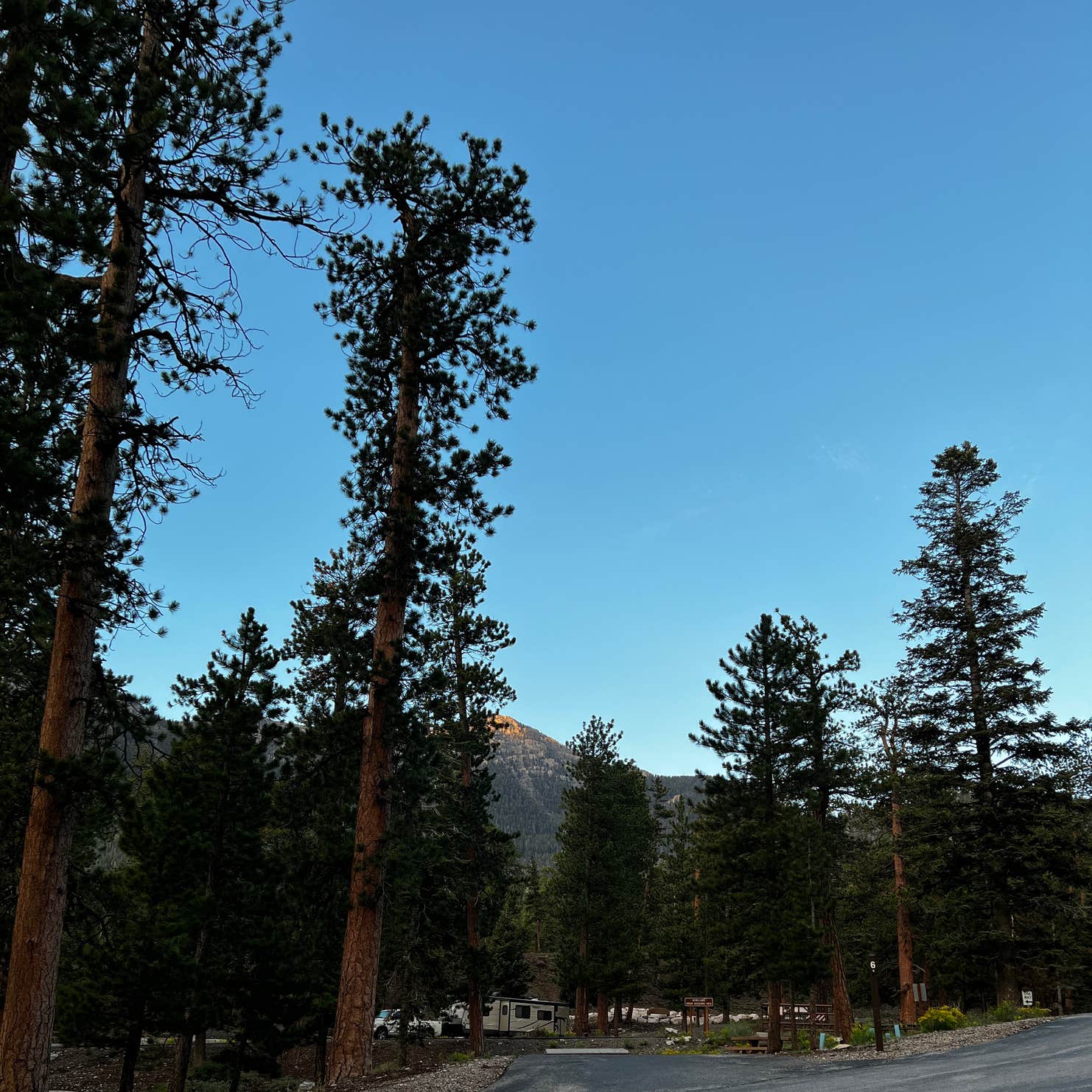 McWilliams Campground | Mount Charleston, Nevada