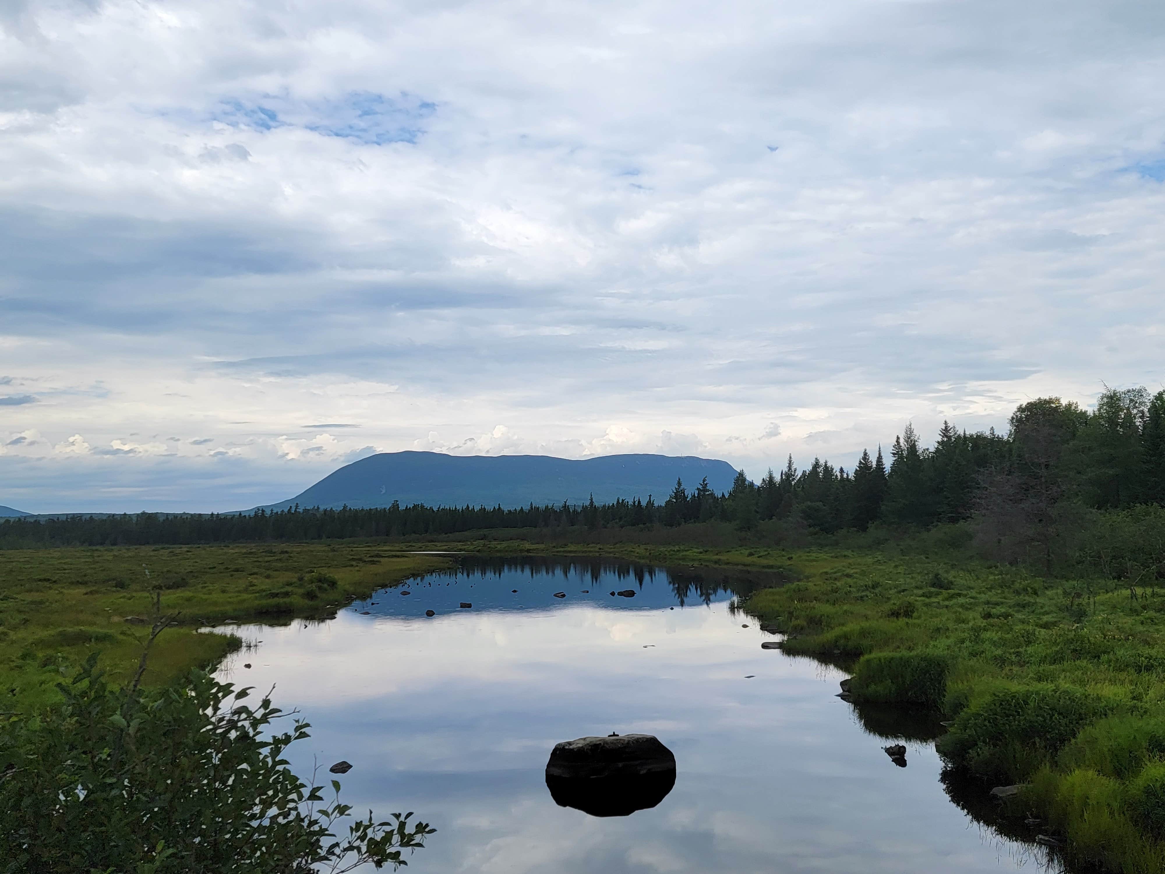 Lazy Tom Bog Primitive Campsite | Frenchtown, Maine