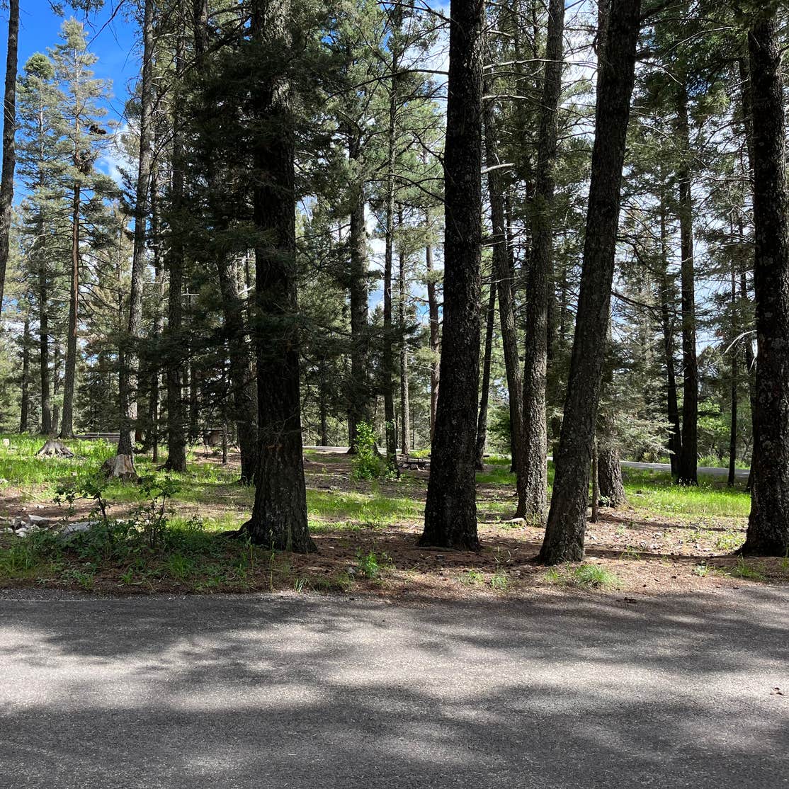 Silver Campground | Cloudcroft, NM