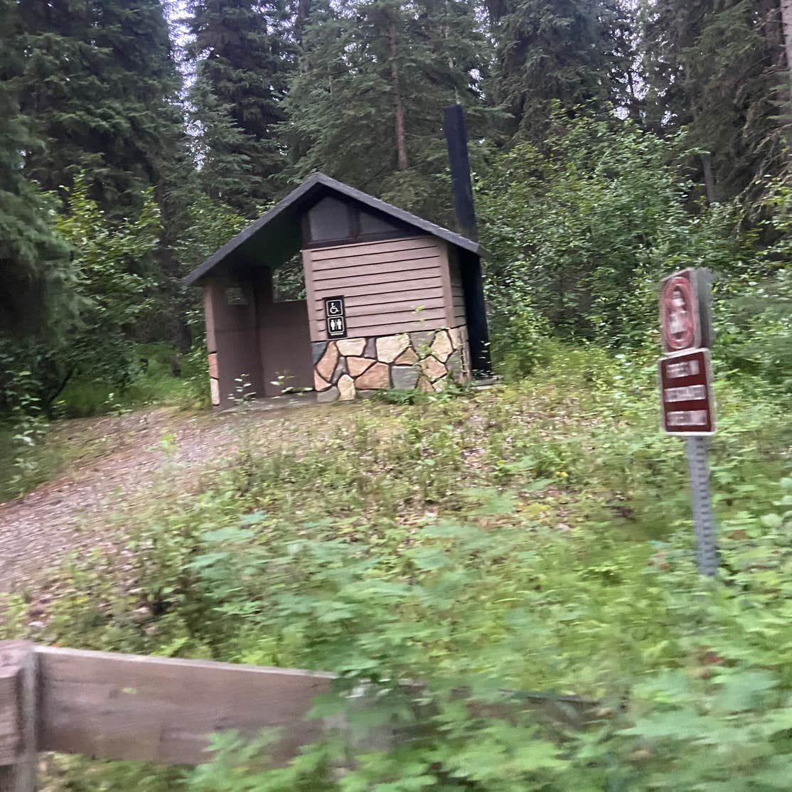 Salcha River State Recreation Site Camping | Fairbanks, AK