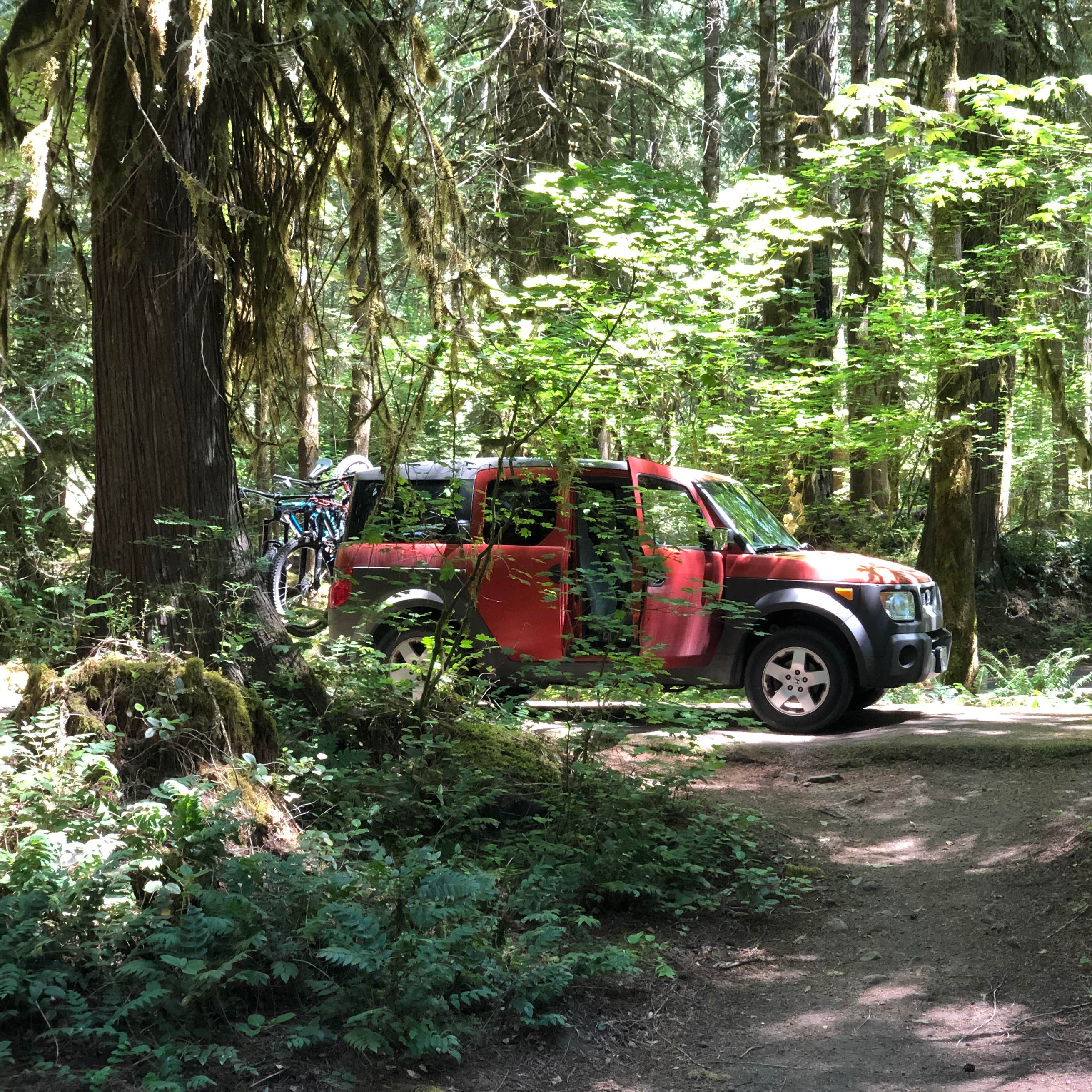 Blue Pool — Willamette National Forest Camping | Oakridge, Oregon