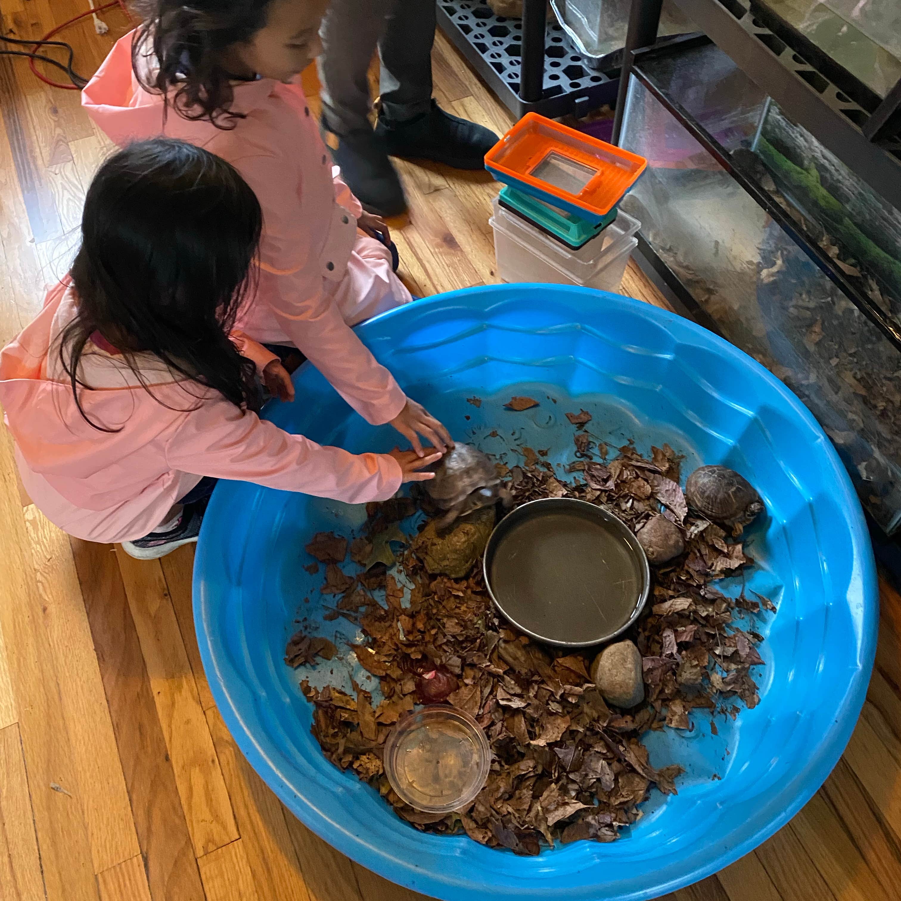 Springbrook State Park Campground | Guthrie Center, Iowa