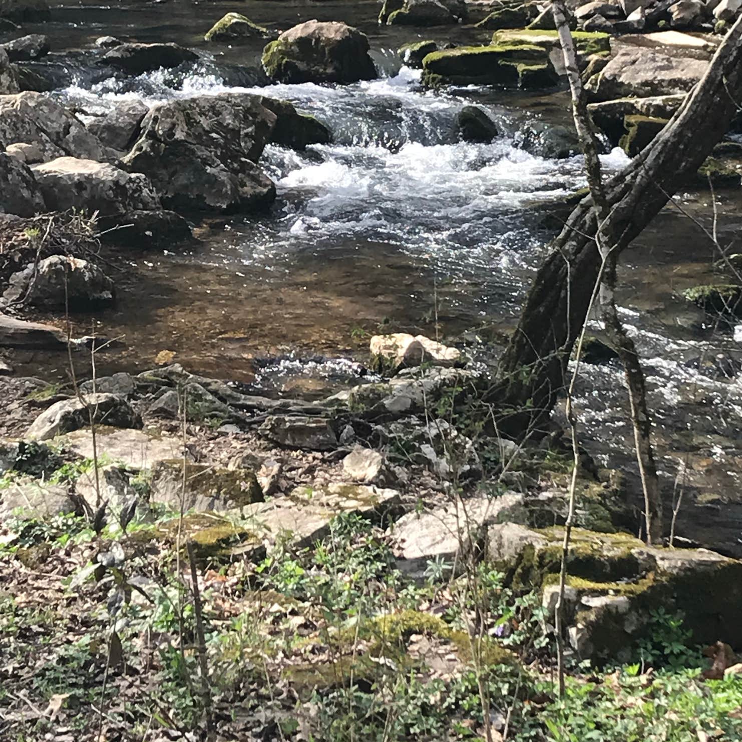 Dam Site(greers Ferry) Camping | Heber springs, AR