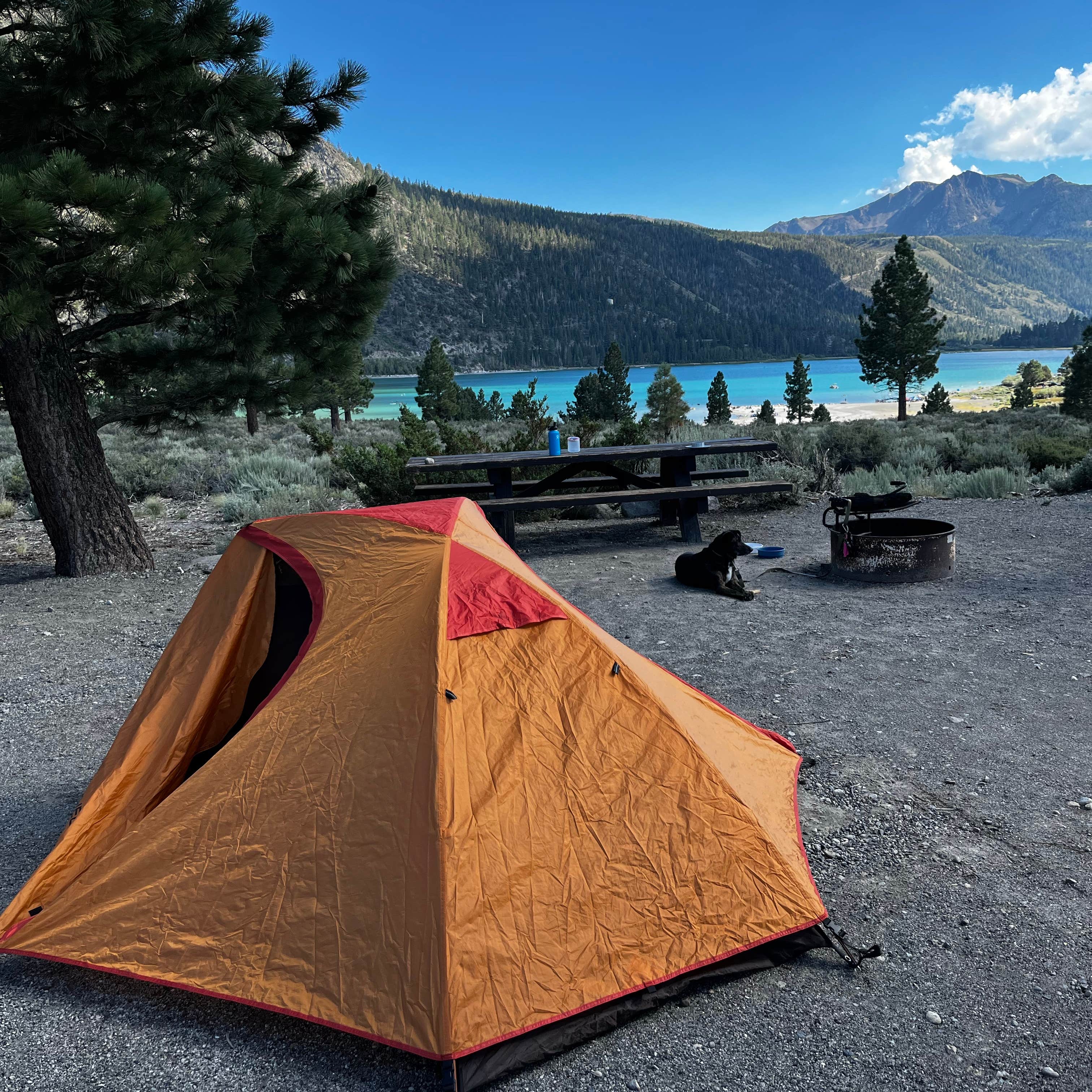 Inyo National Forest Oh Ridge Campground | Mammoth lakes, CA
