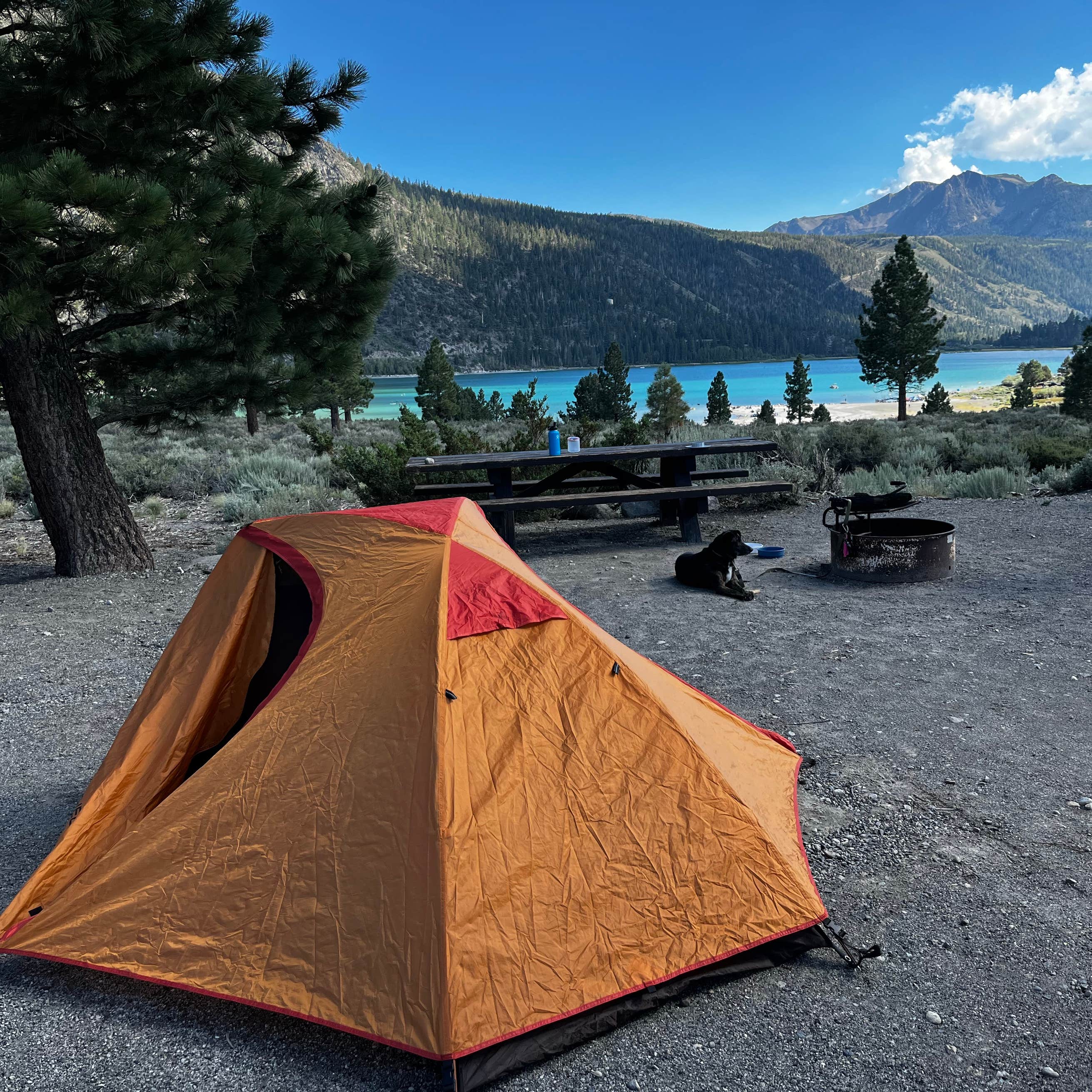 Inyo National Forest Oh Ridge Campground | Mammoth lakes, CA
