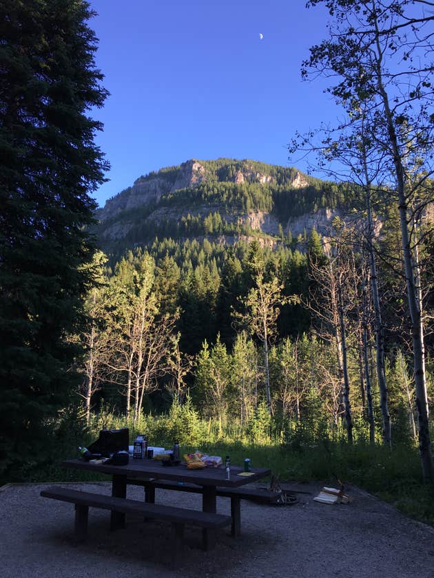 Teton Canyon Camping | The Dyrt