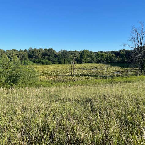 Pokagon State Park Campground | Angola, IN