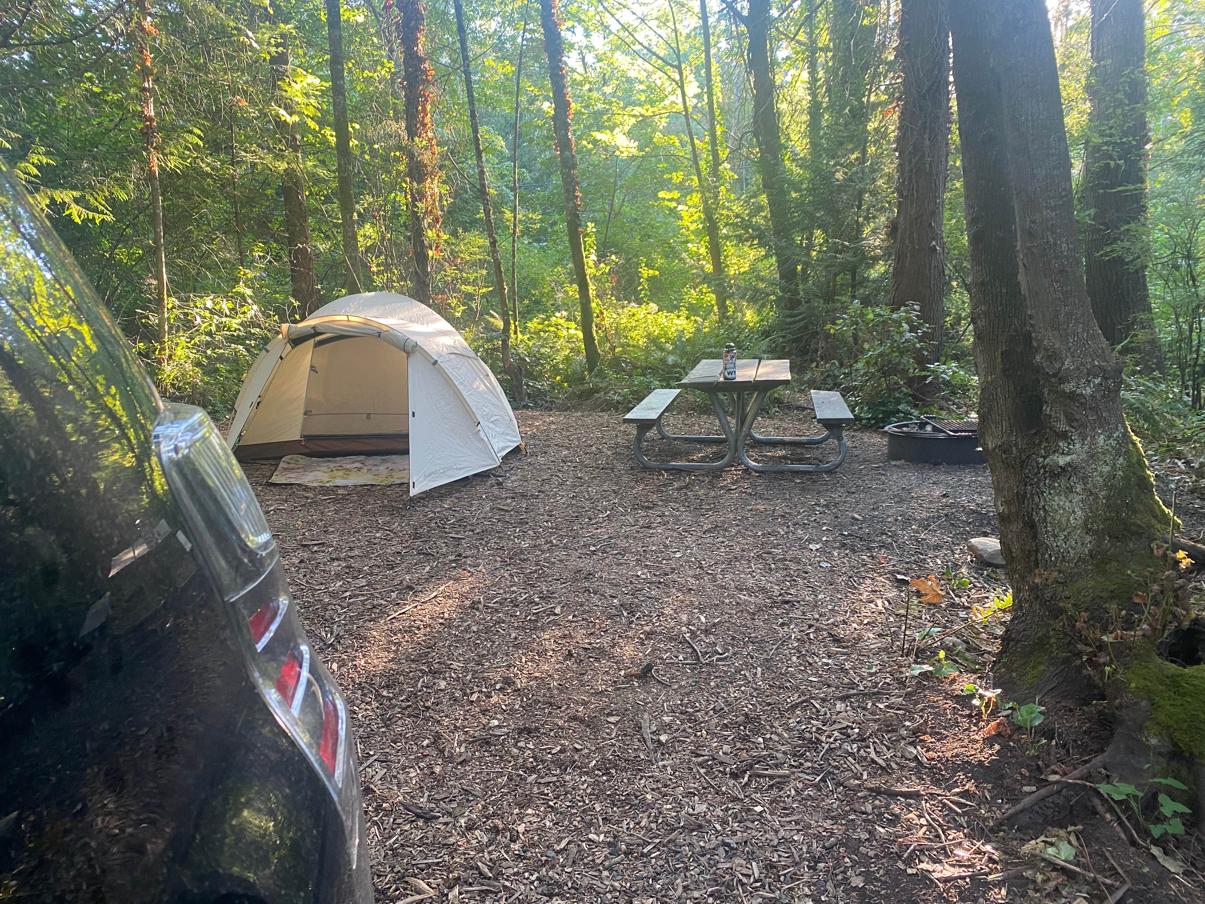 Fay Bainbridge Park Camping | Bainbridge Island, WA