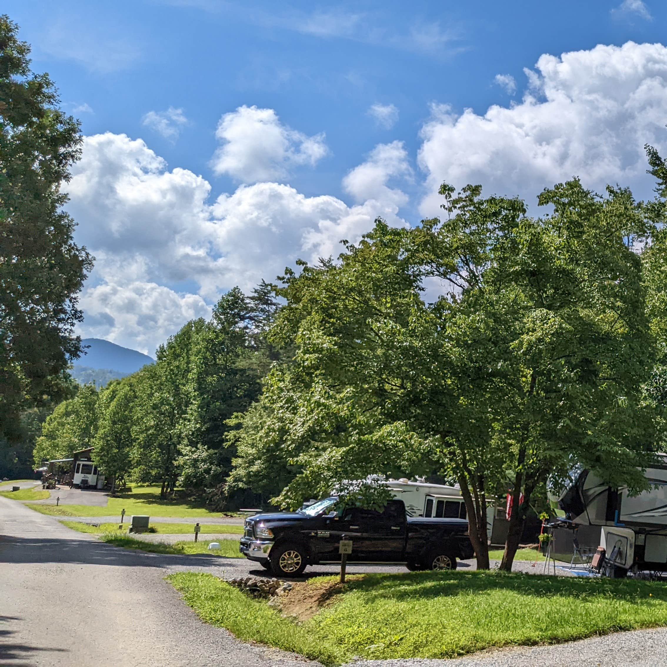 Honeysuckle Meadows RV resort Camping | The Dyrt